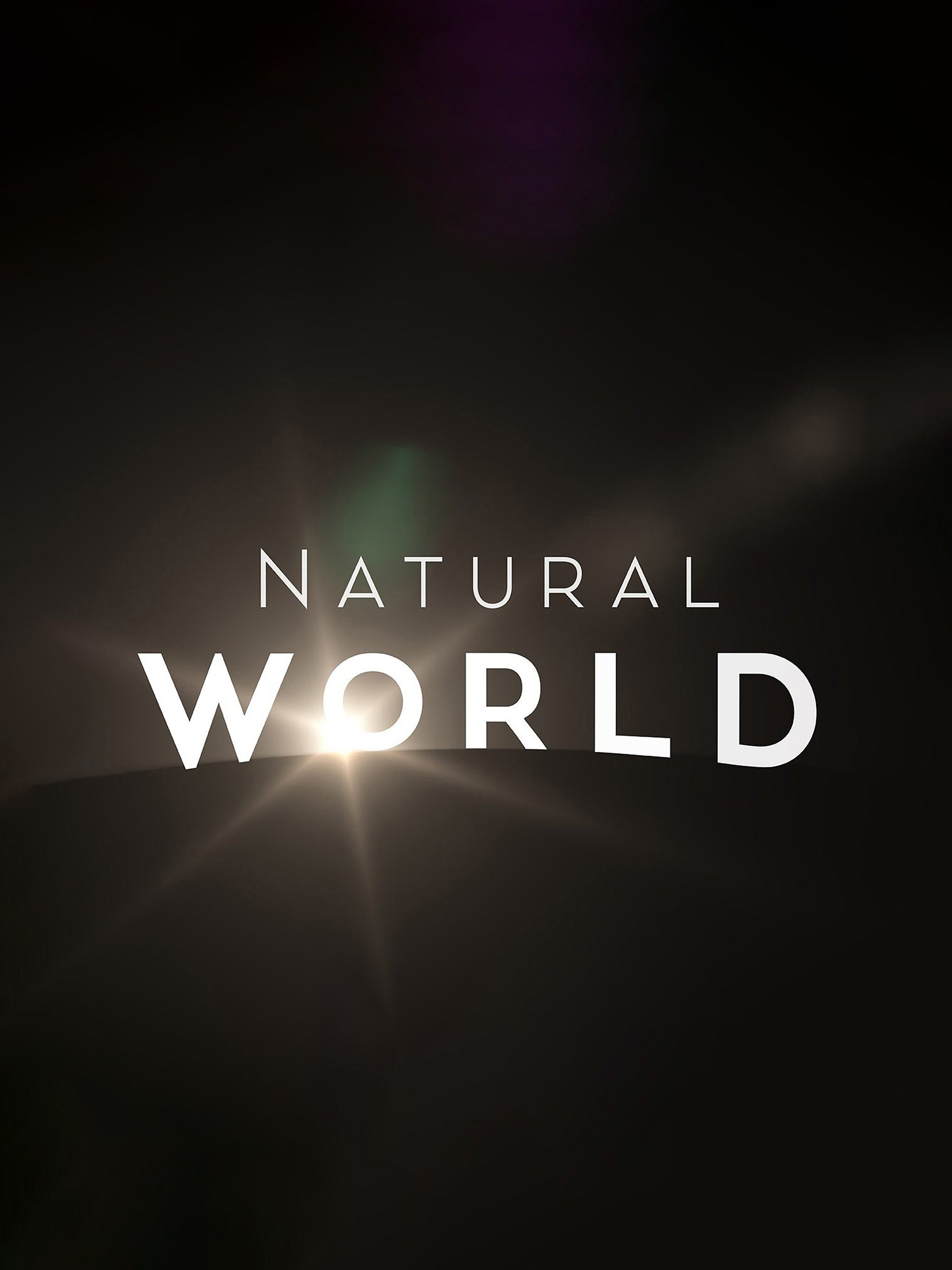 Natural World: Season 33 Pictures | Rotten Tomatoes