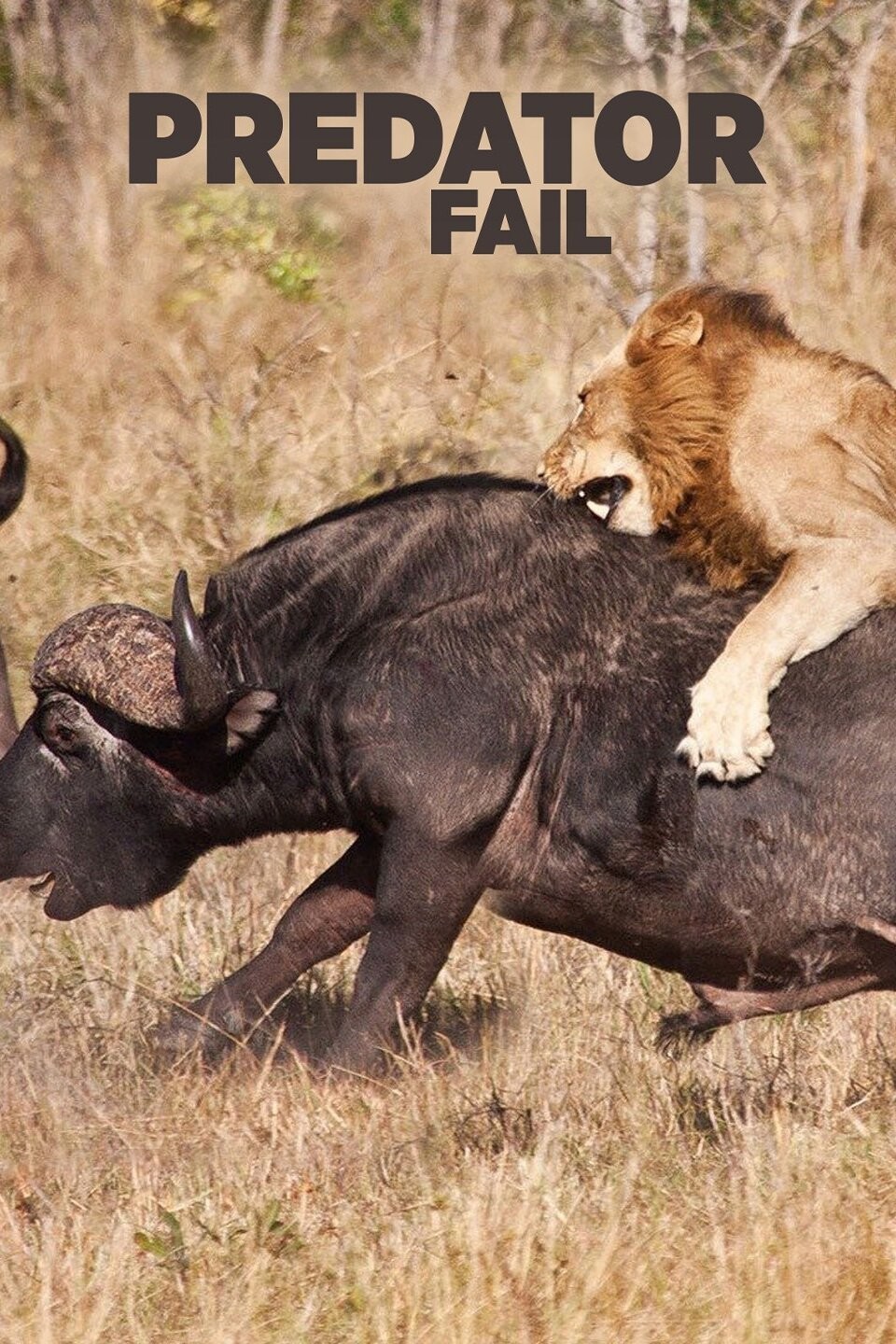 Predator Fail: Season 1 Pictures | Rotten Tomatoes