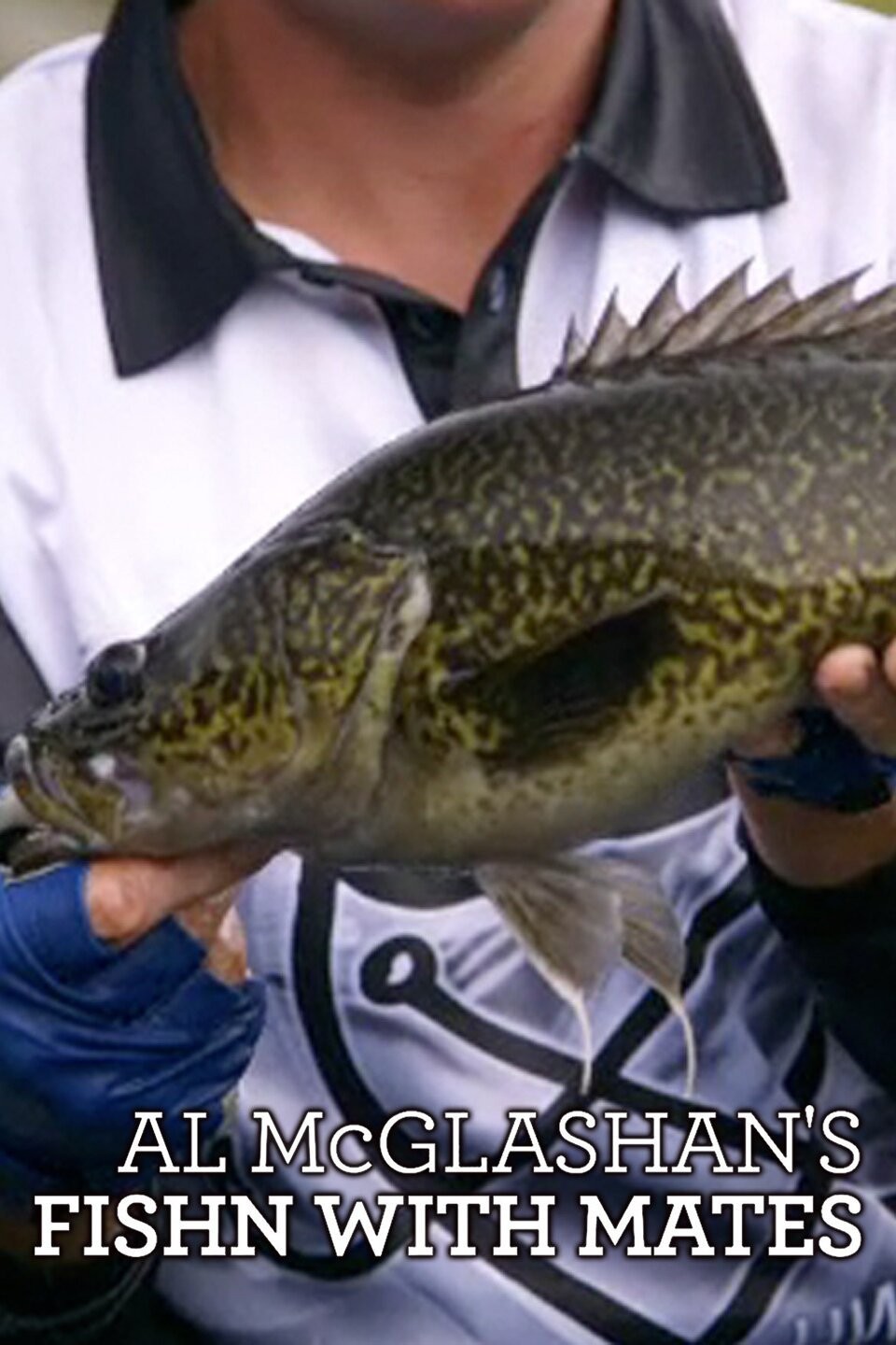 Outback Cod Pictures | Rotten Tomatoes