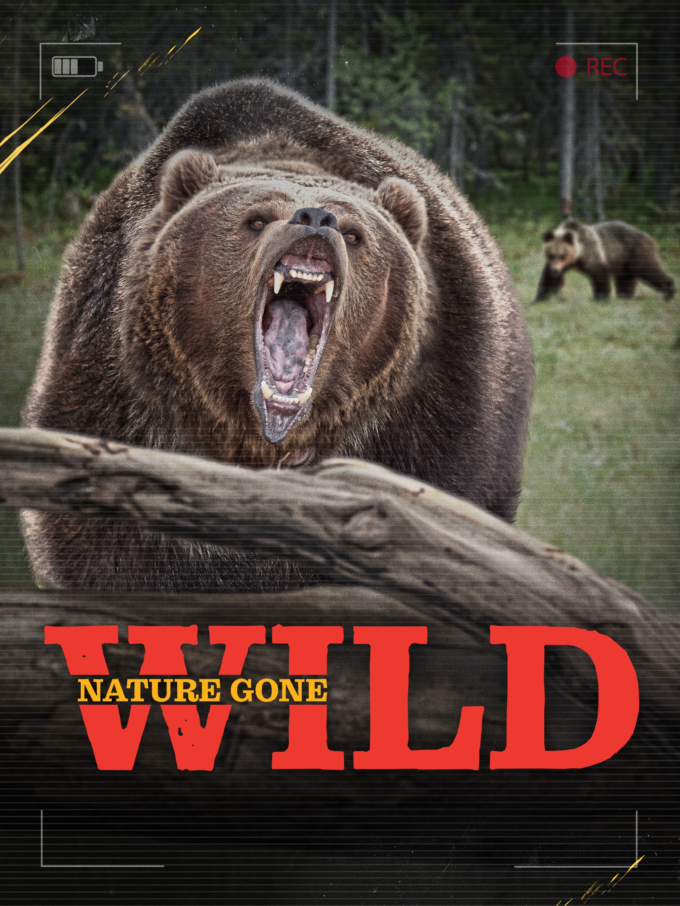 Nature Gone Wild Pictures | Rotten Tomatoes