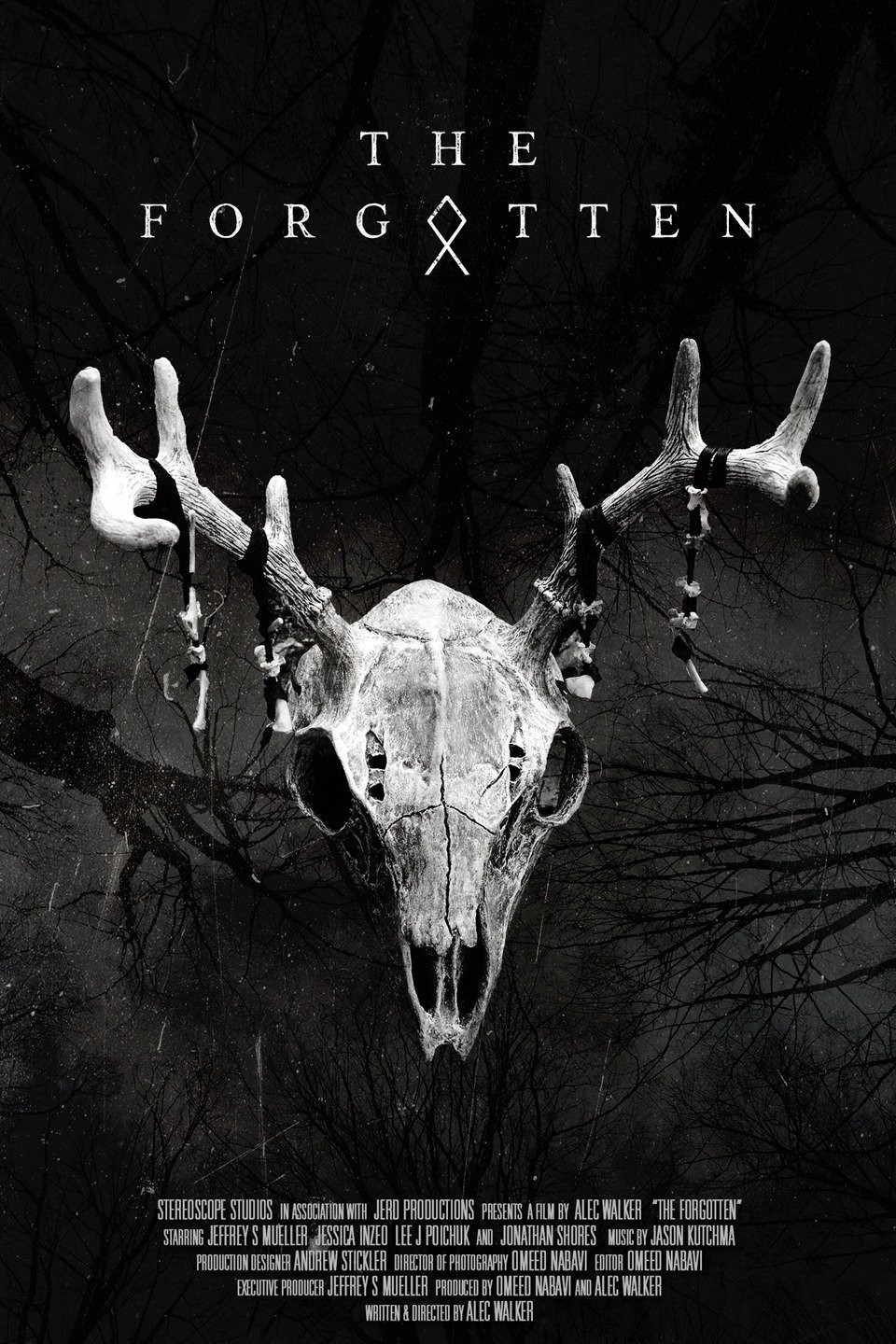 The Forgotten Pictures Rotten Tomatoes
