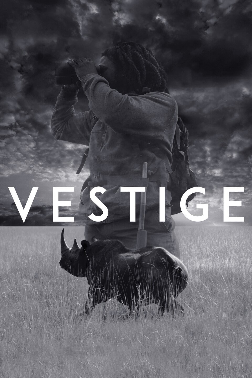 Vestige | Rotten Tomatoes