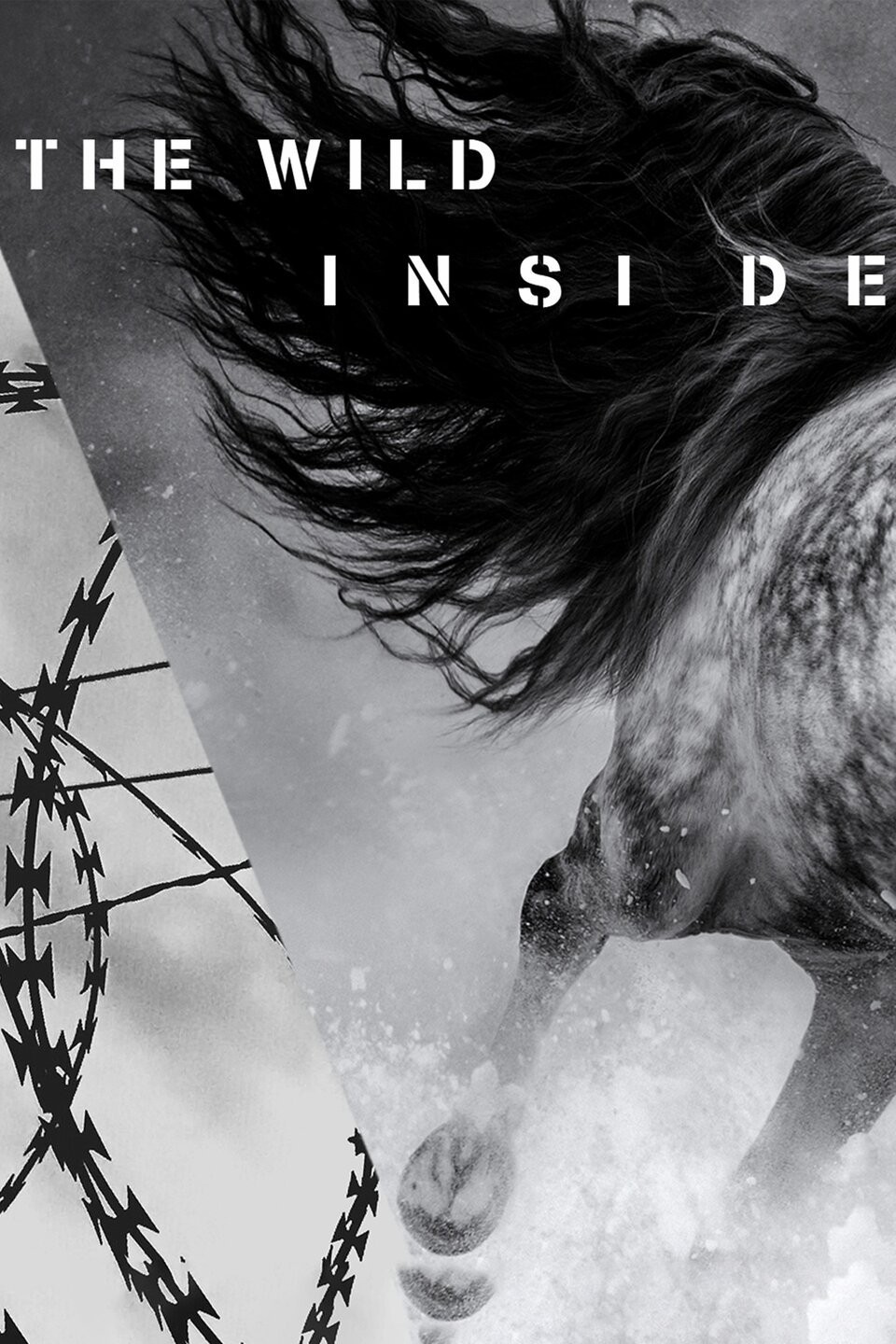 The Wild Inside | Rotten Tomatoes