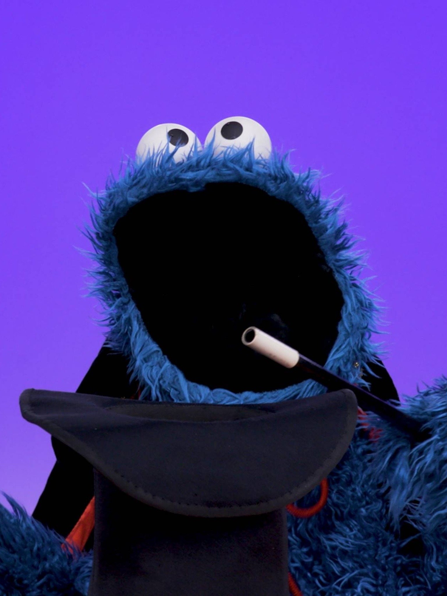 My Cookie Monster: Magic Pictures | Rotten Tomatoes