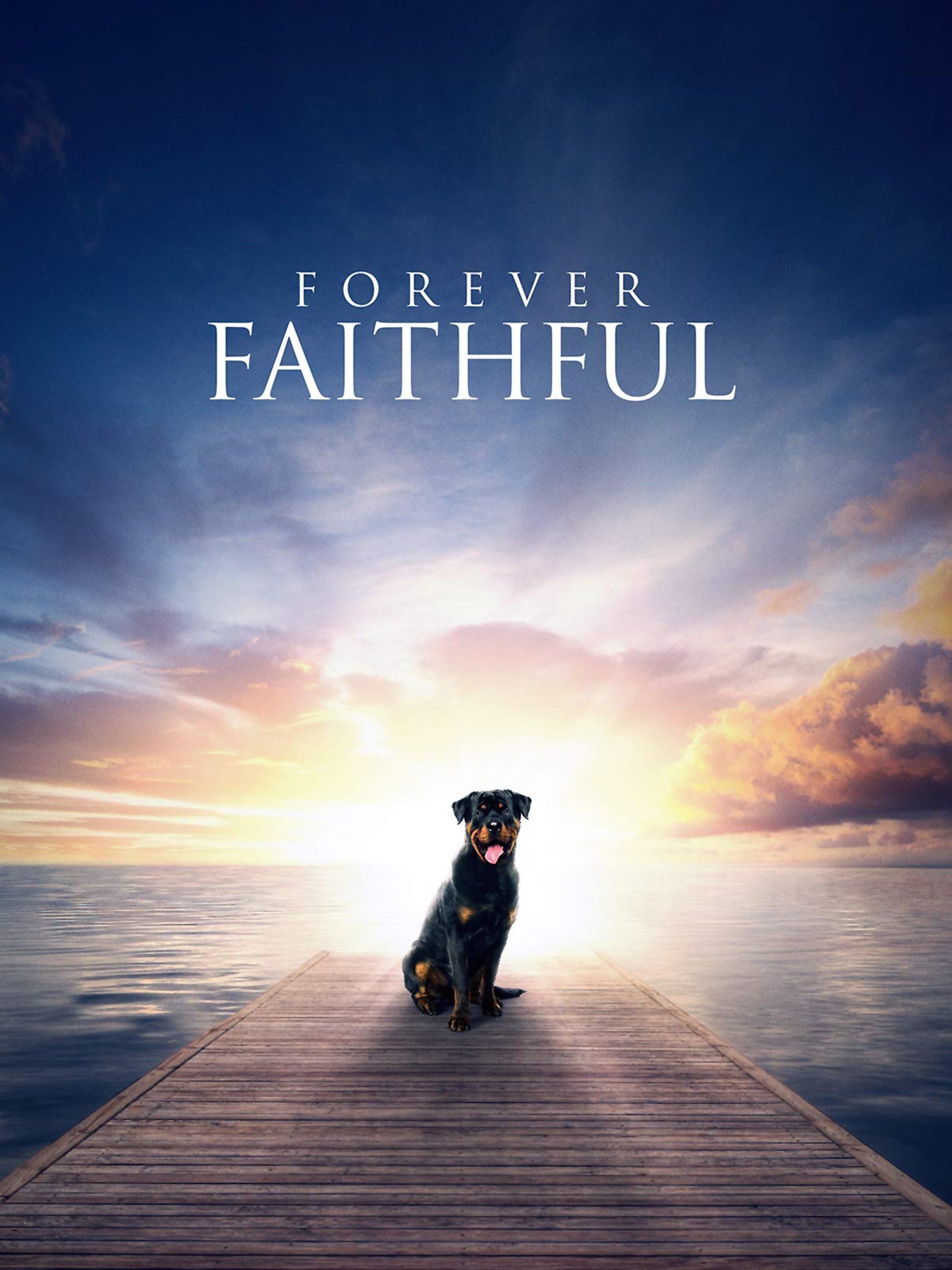 Forever Faithful | Rotten Tomatoes