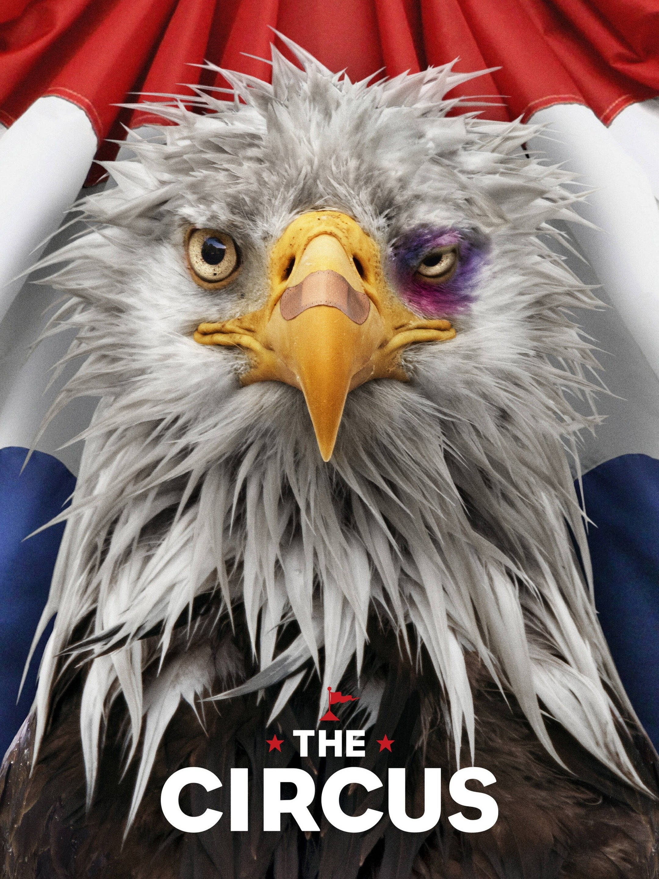 The Circus: Inside the Greatest Political Show on Earth Season 6 ...