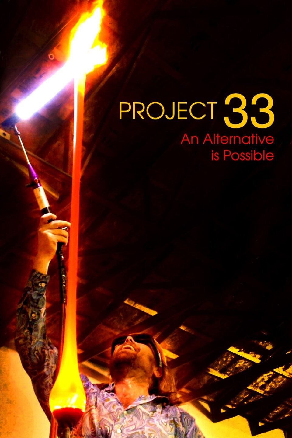 Project 33: An Alternative Is Possible Pictures | Rotten Tomatoes