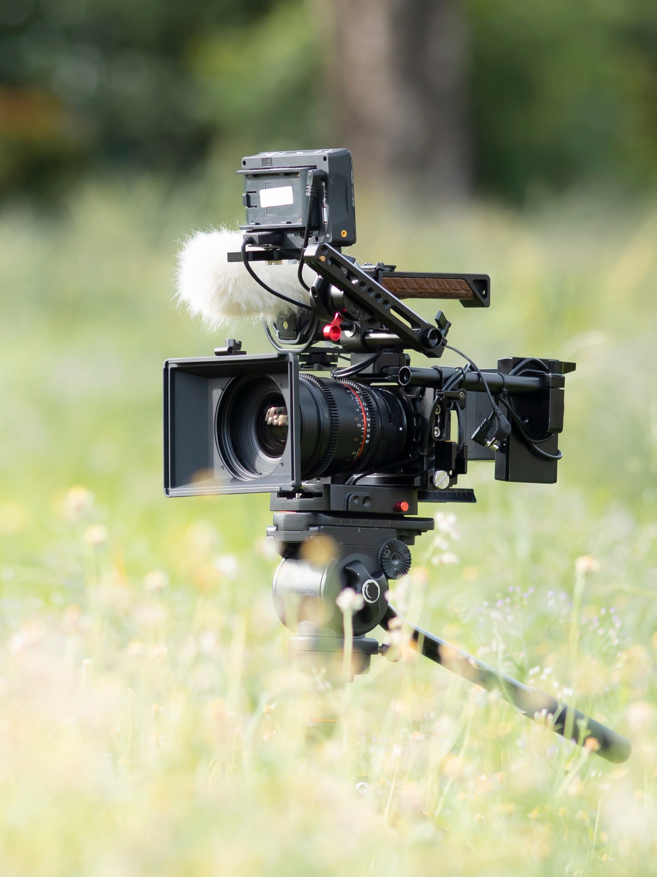 Amazon With Bruce Parry | Rotten Tomatoes