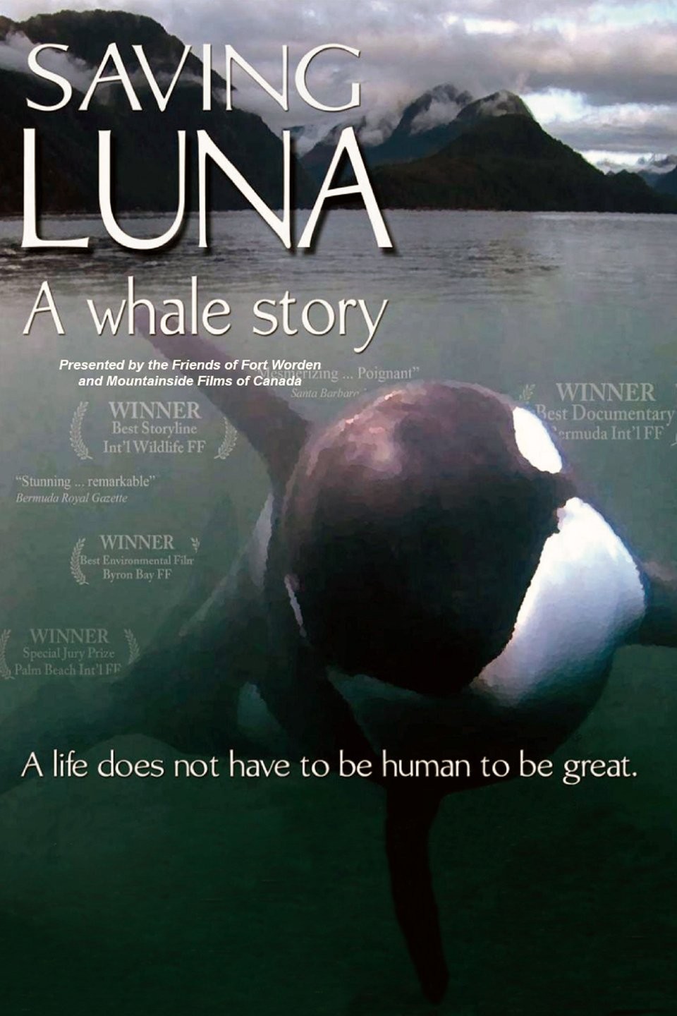 Saving Luna Pictures | Rotten Tomatoes