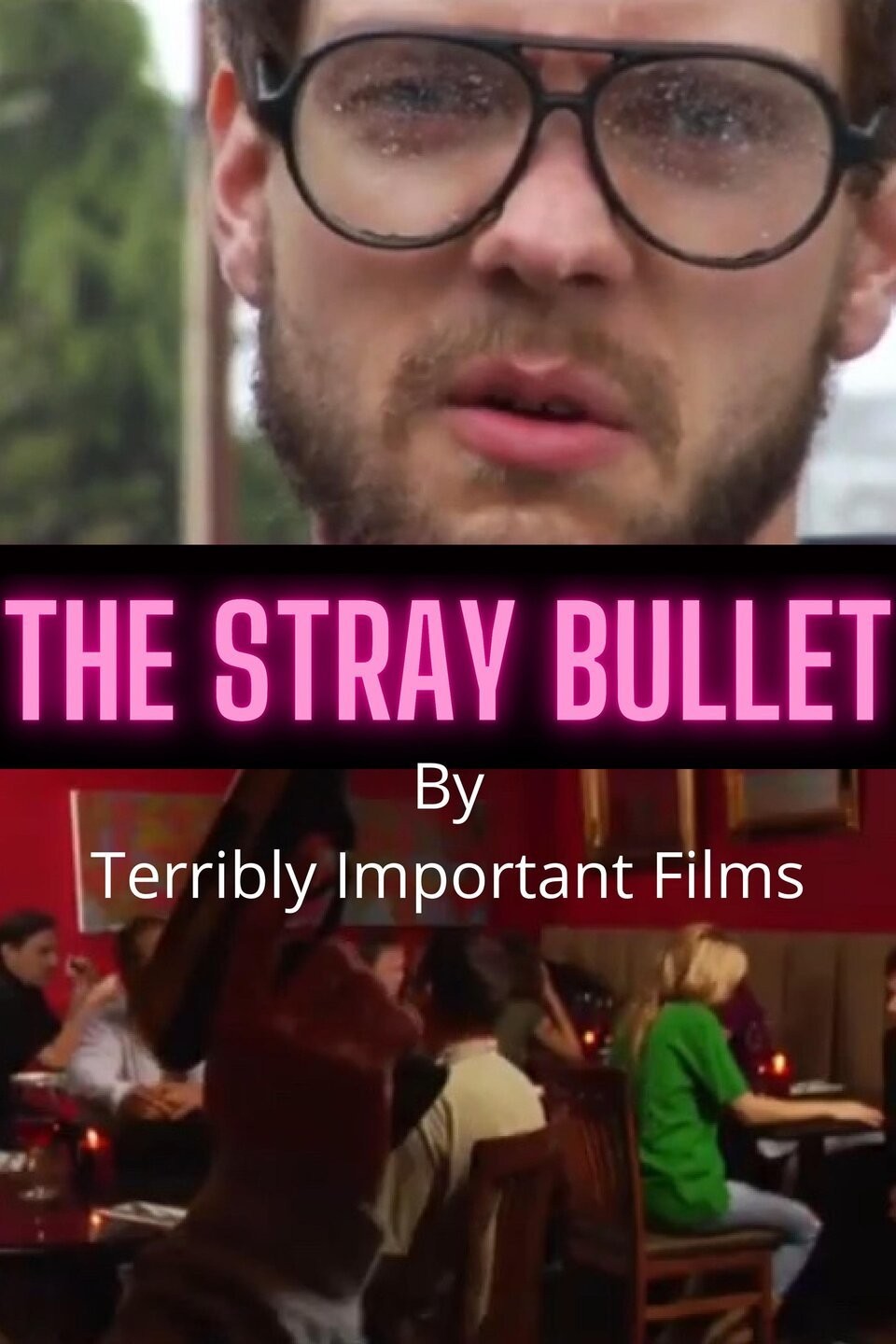 The Stray Bullet | Rotten Tomatoes