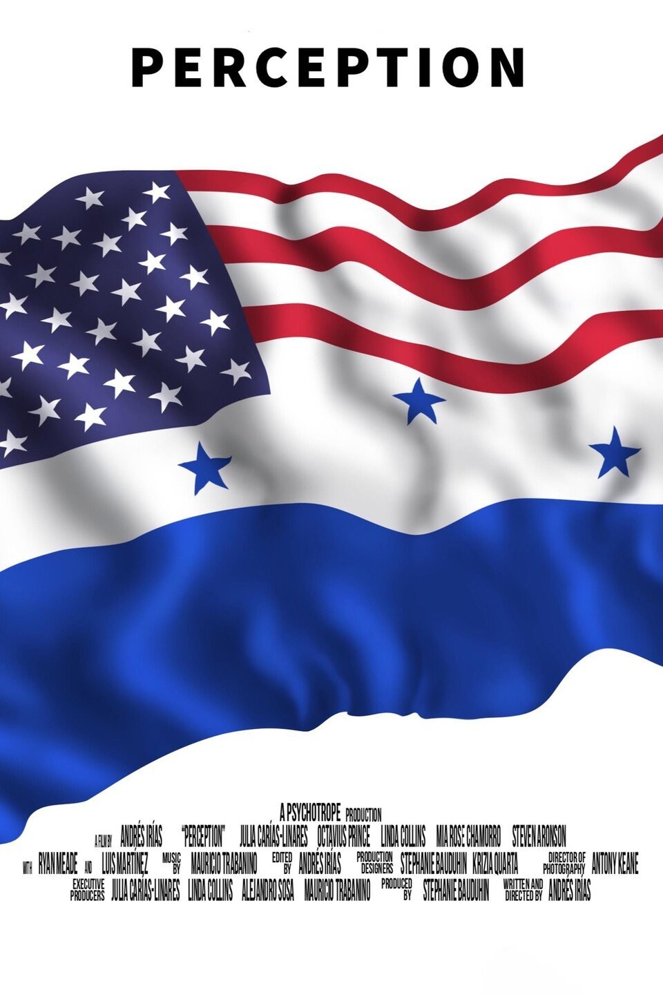 Perception | Rotten Tomatoes