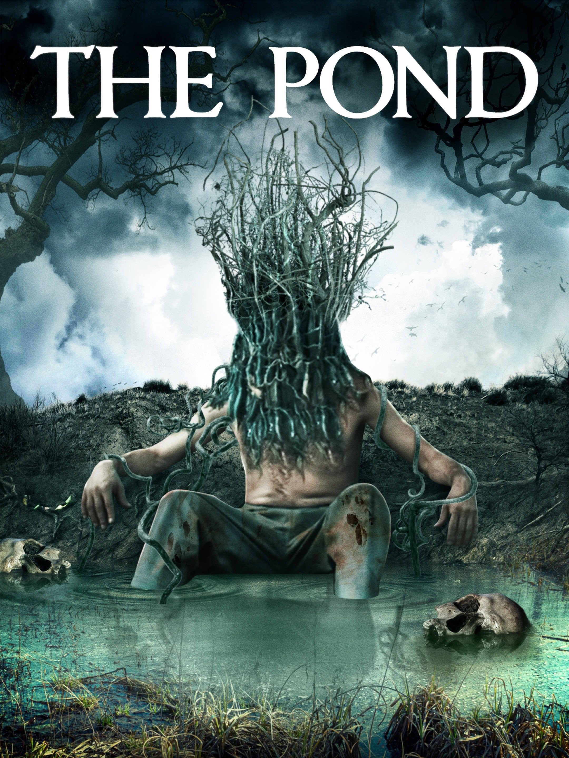 The Pond | Rotten Tomatoes