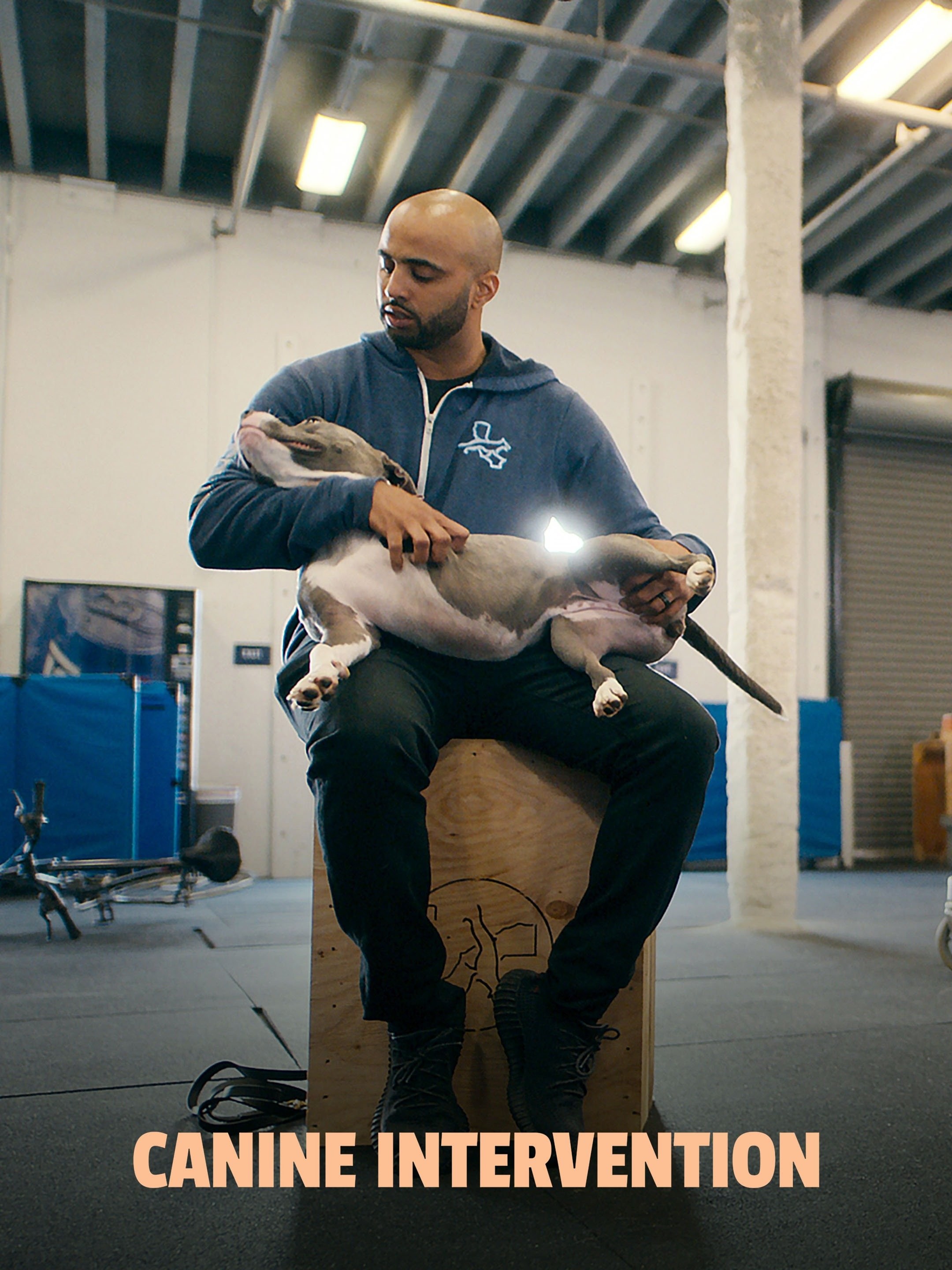 Canine Intervention Season 1 | Rotten Tomatoes