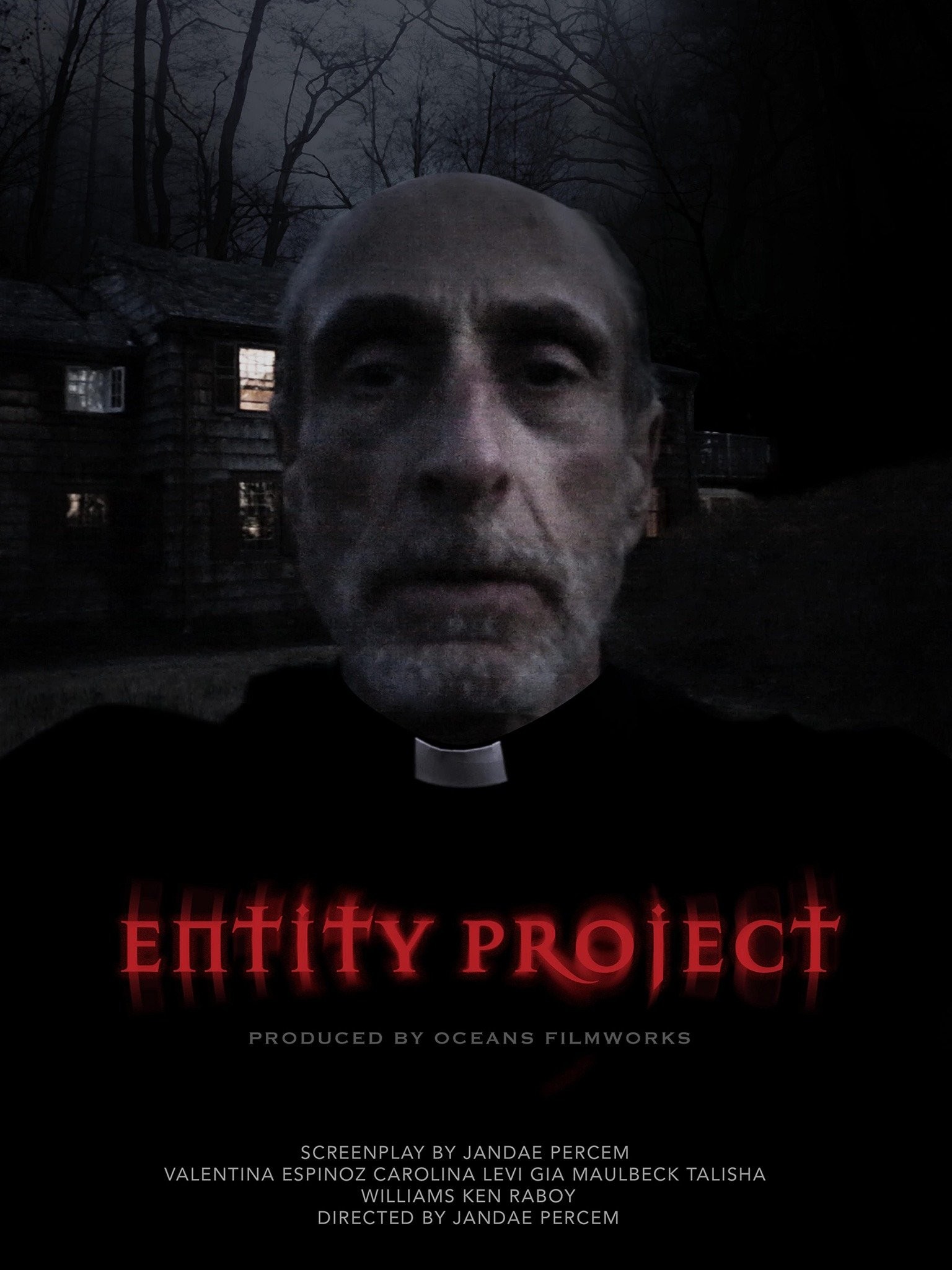 Entity Project Pictures | Rotten Tomatoes