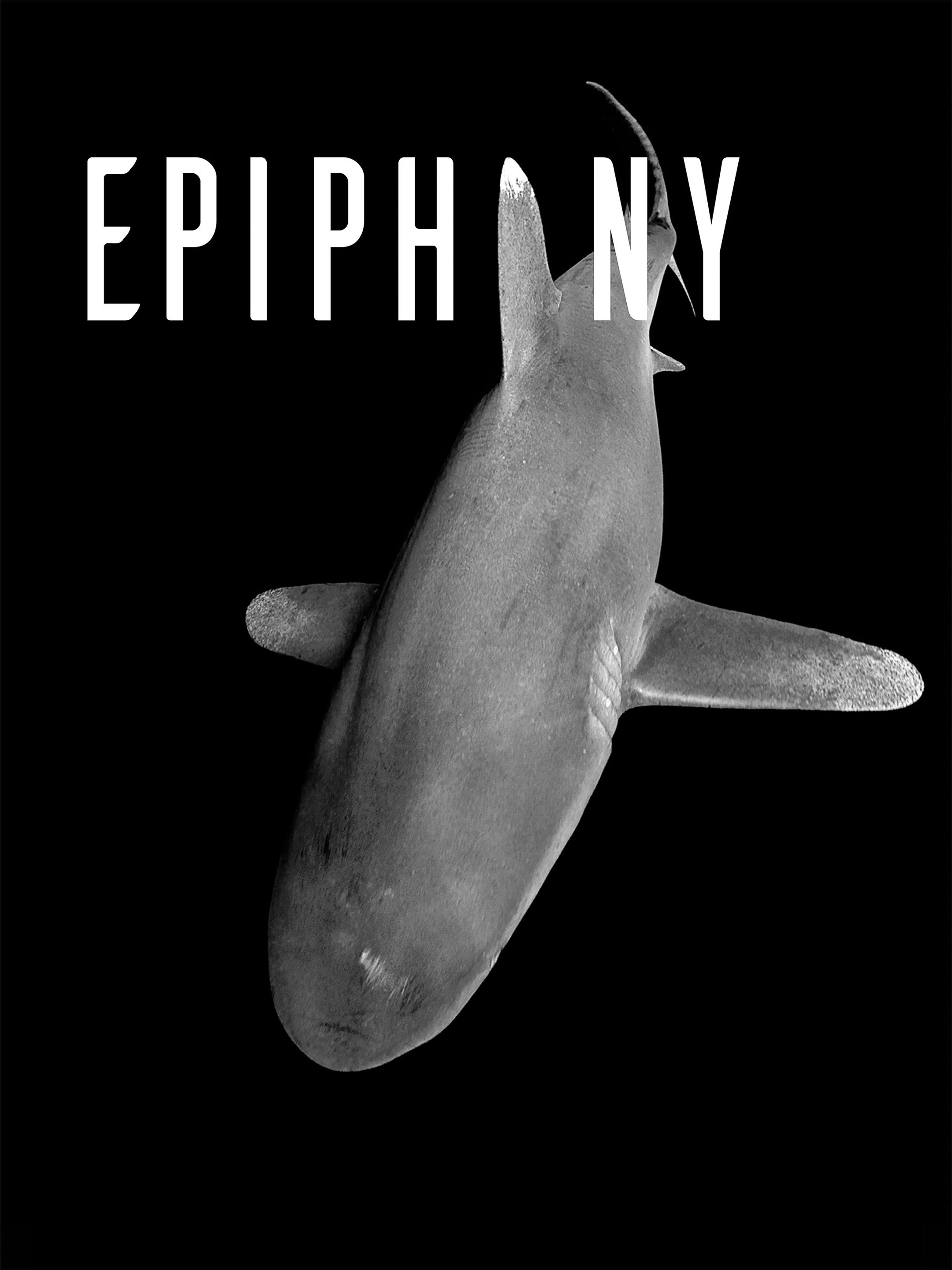 Epiphany Pictures | Rotten Tomatoes