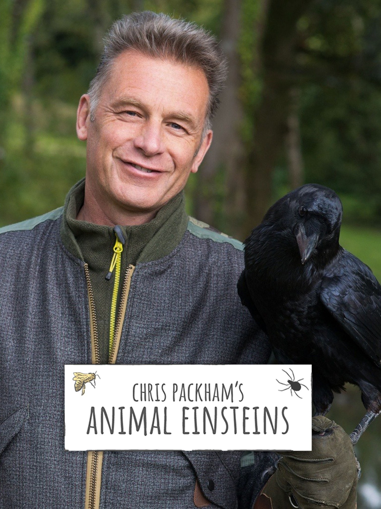 Chris Packham's Animal Einsteins: Season 1 Pictures | Rotten Tomatoes