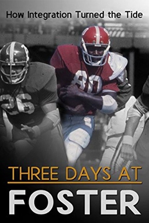 Three Days at Foster Pictures | Rotten Tomatoes