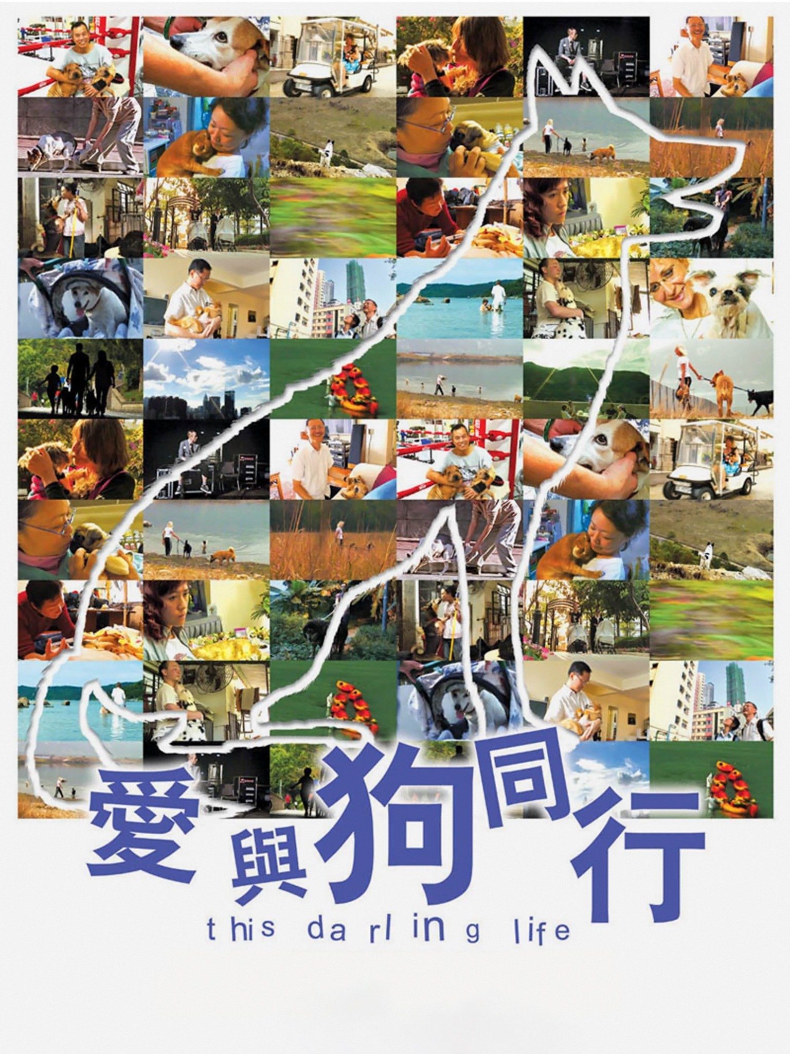 This Darling Life Pictures | Rotten Tomatoes