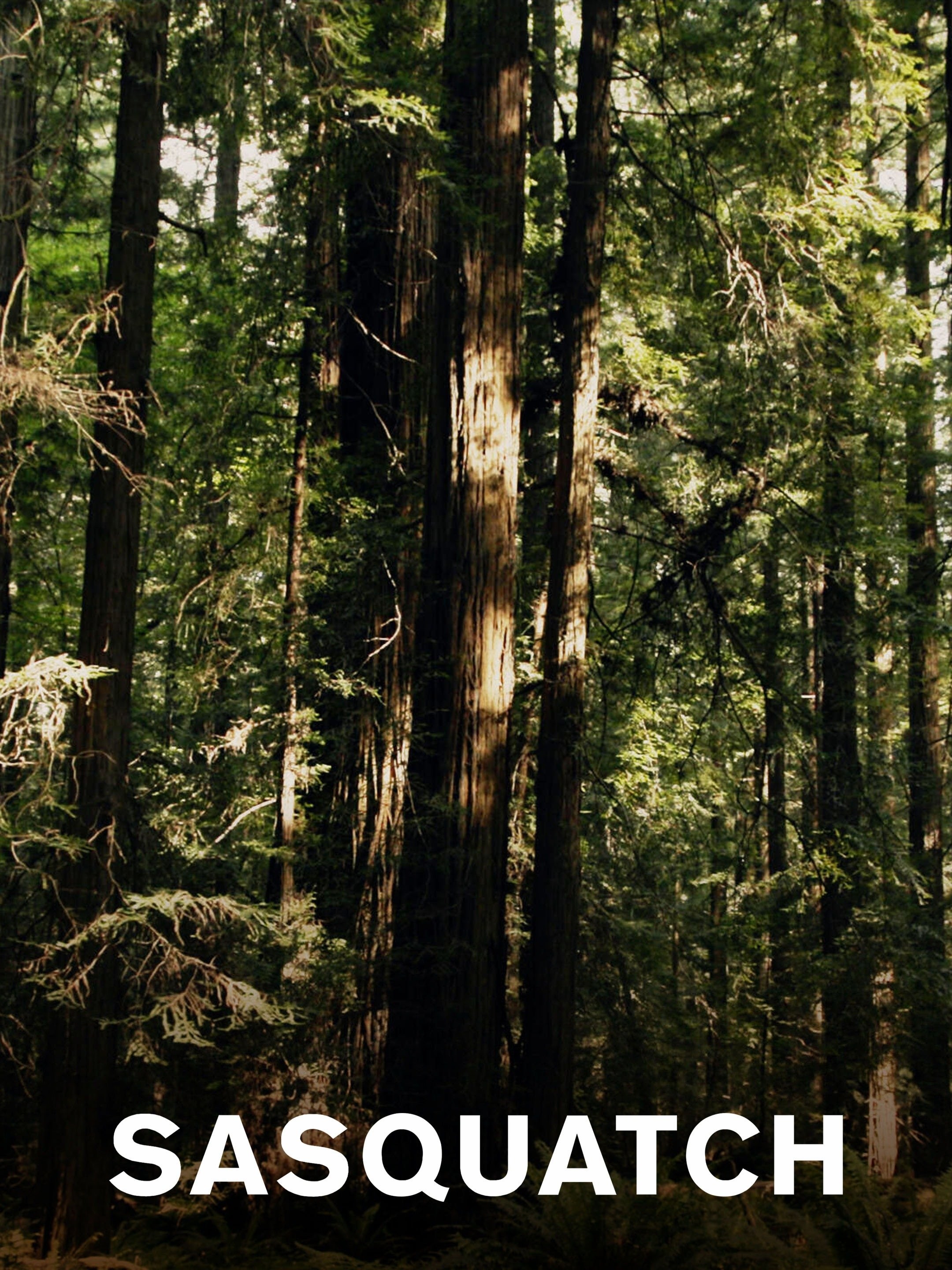 Sasquatch Season 1 | Rotten Tomatoes