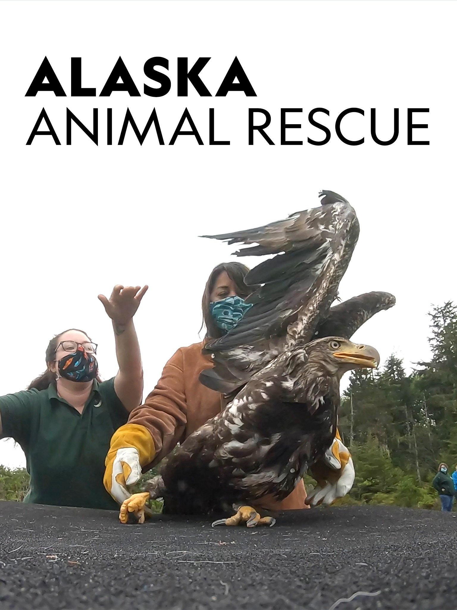 Alaska Animal Rescue Season 2 | Rotten Tomatoes