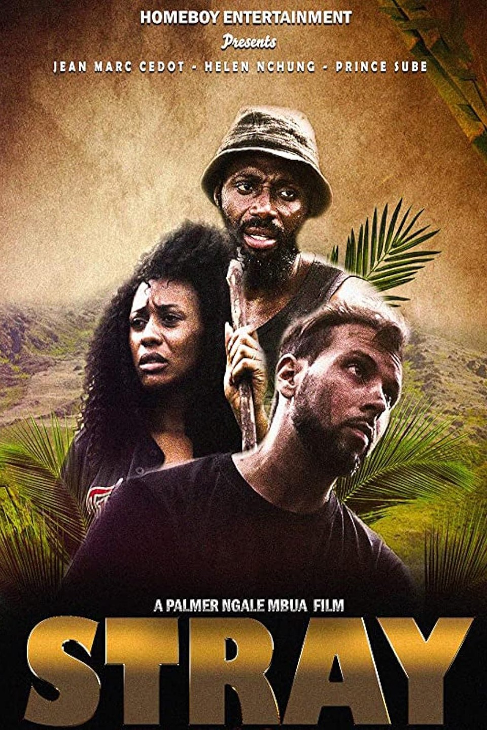 Stray Pictures | Rotten Tomatoes