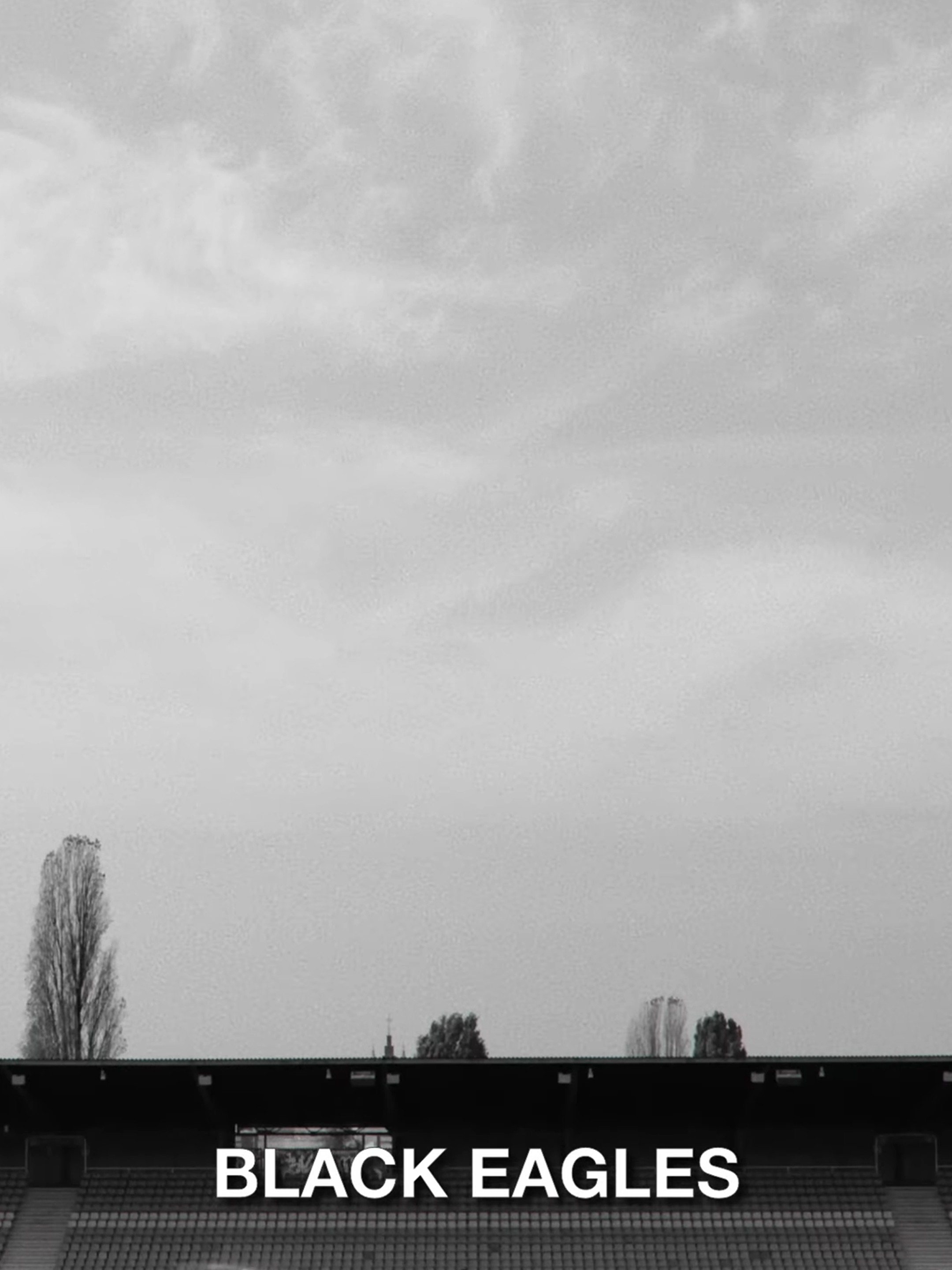 Black Eagles Pictures | Rotten Tomatoes