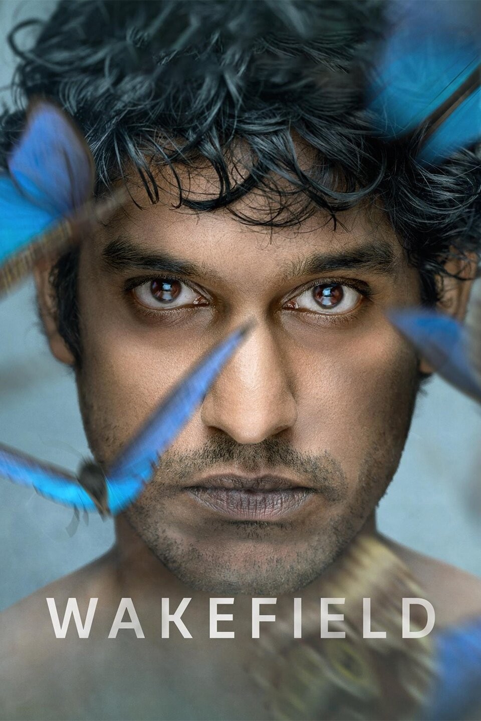 Wakefield | Rotten Tomatoes