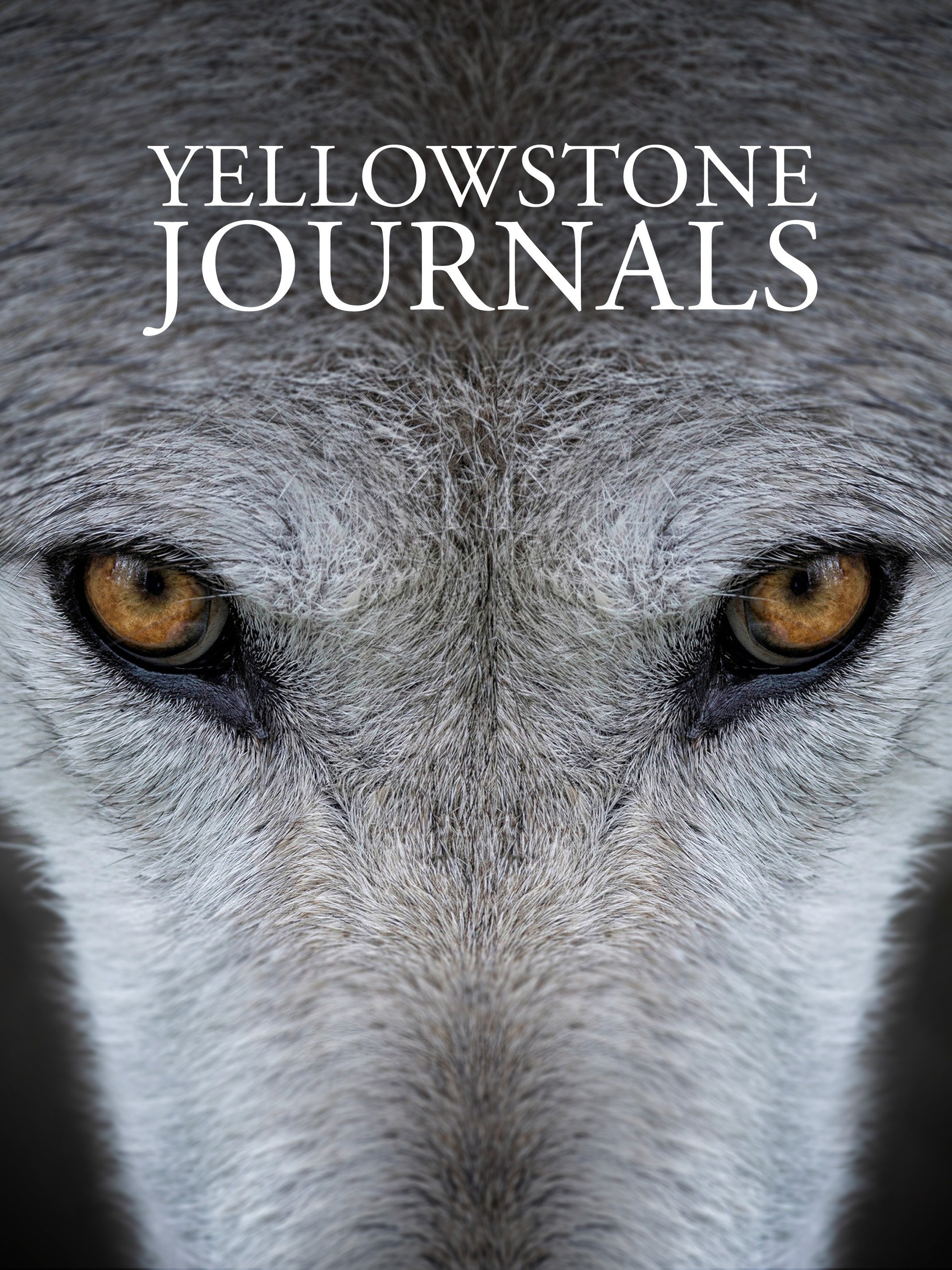 Yellowstone Journals Pictures | Rotten Tomatoes