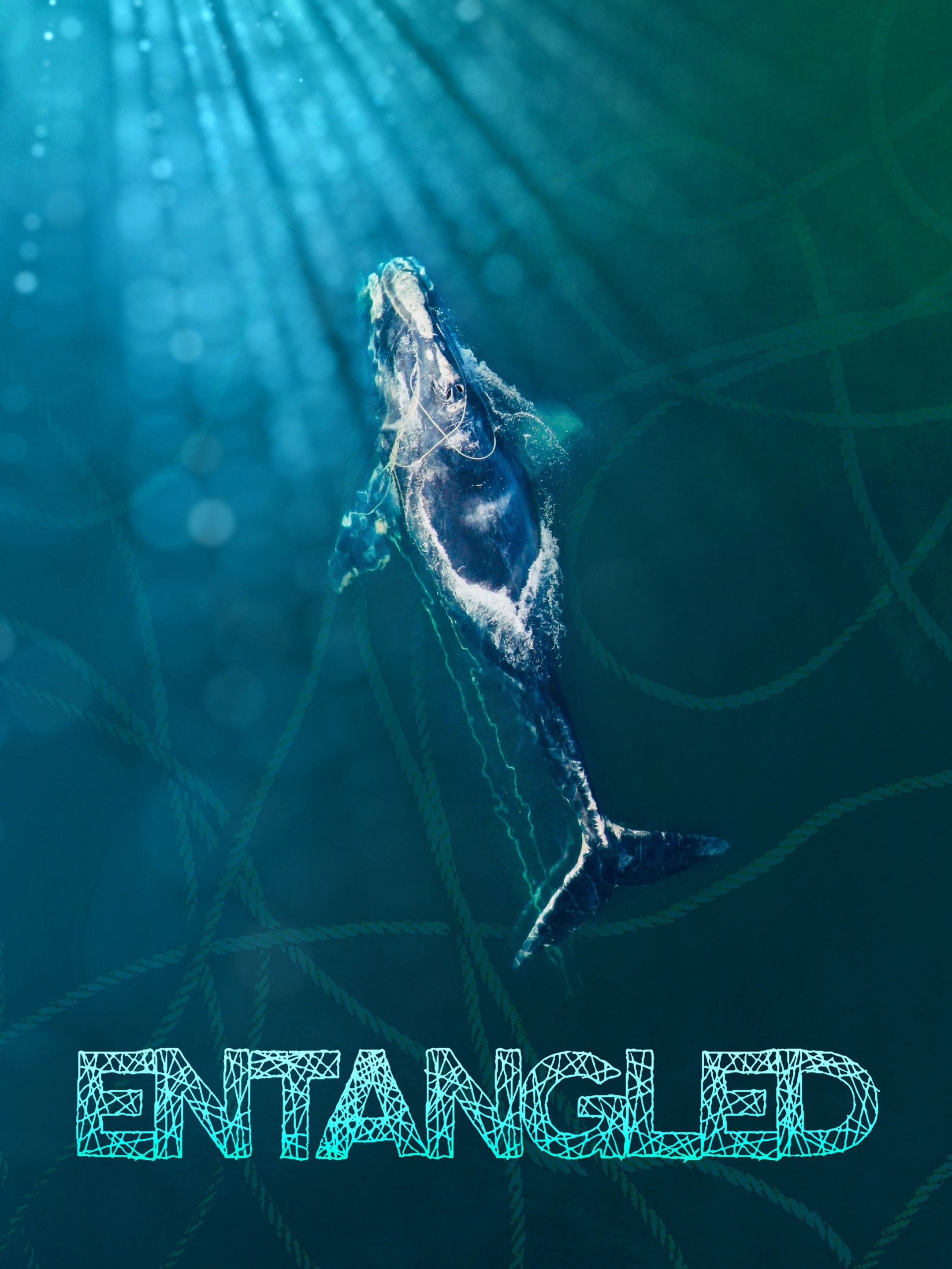 Entangled | Rotten Tomatoes