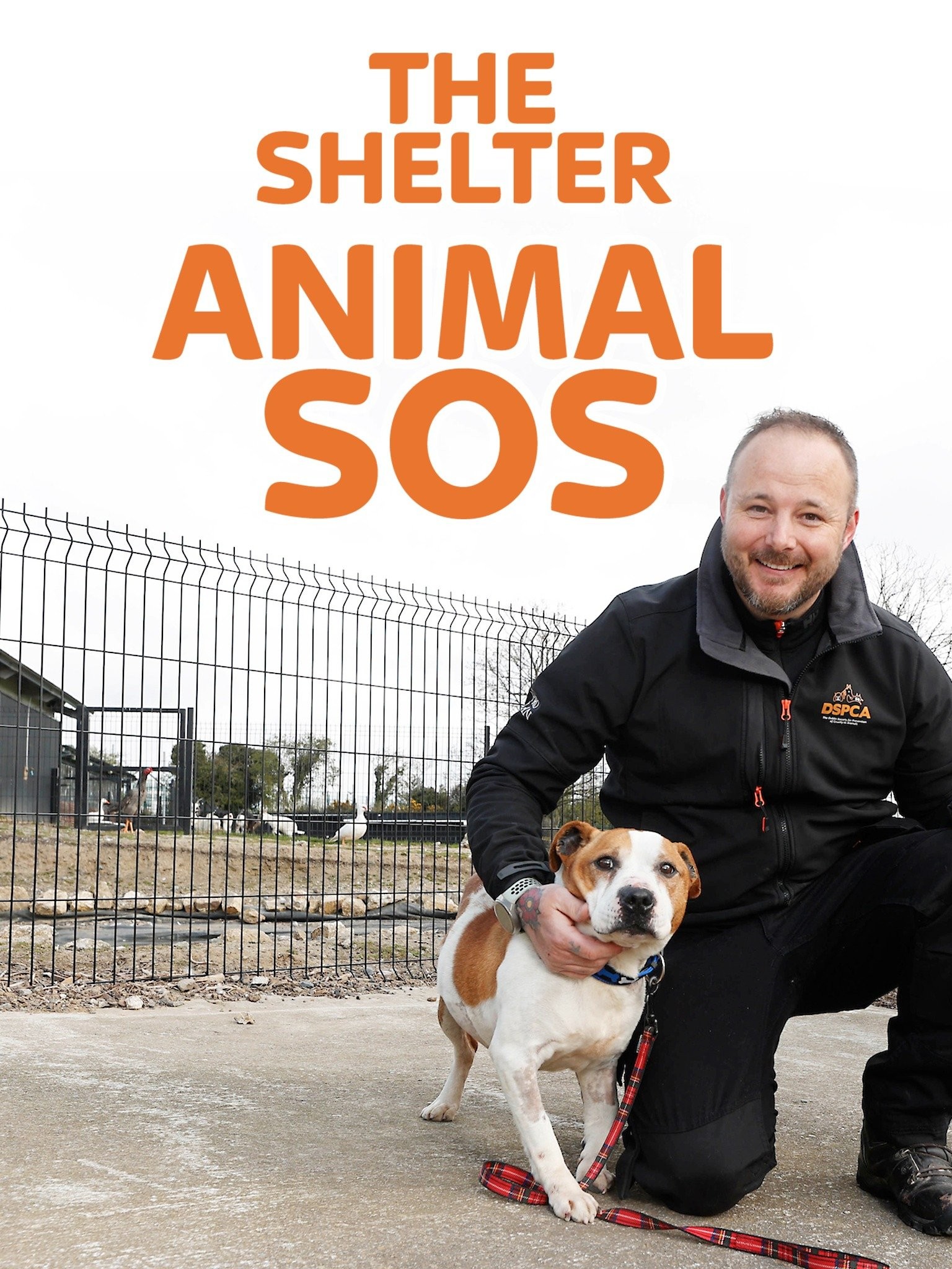 The Shelter: Animal SOS Pictures | Rotten Tomatoes