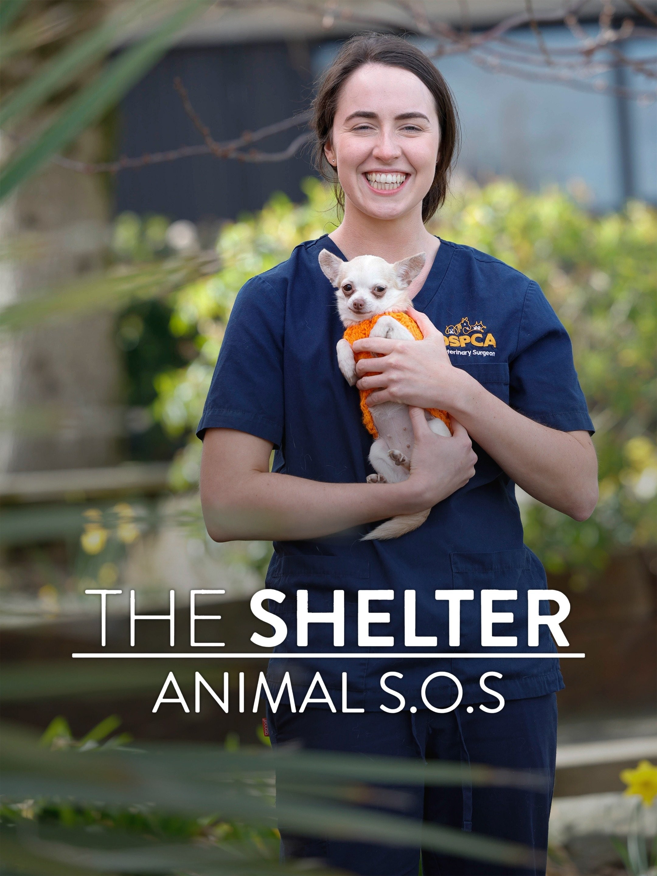 The Shelter: Animal SOS Pictures | Rotten Tomatoes