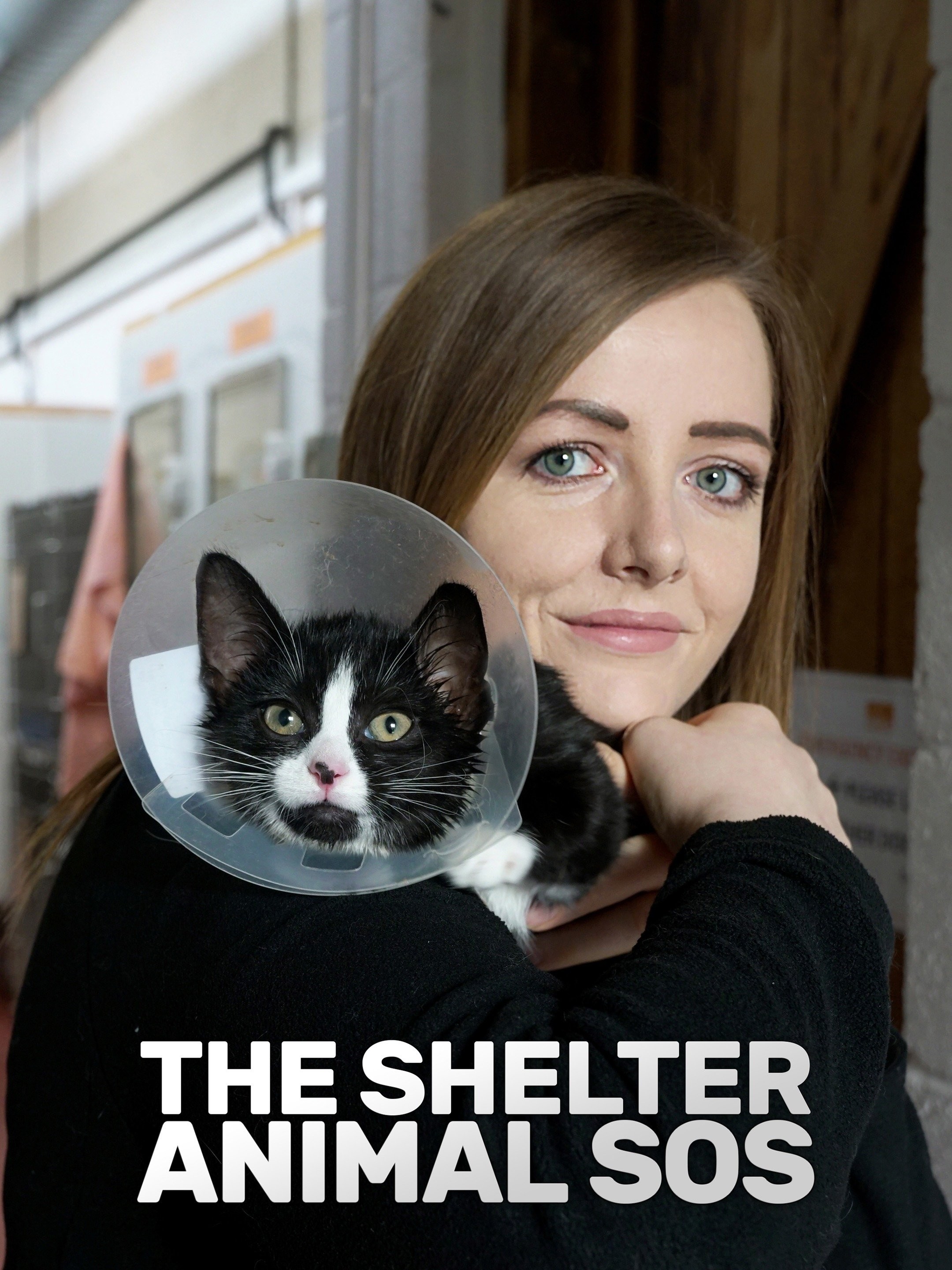 The Shelter: Animal SOS Season 1 | Rotten Tomatoes