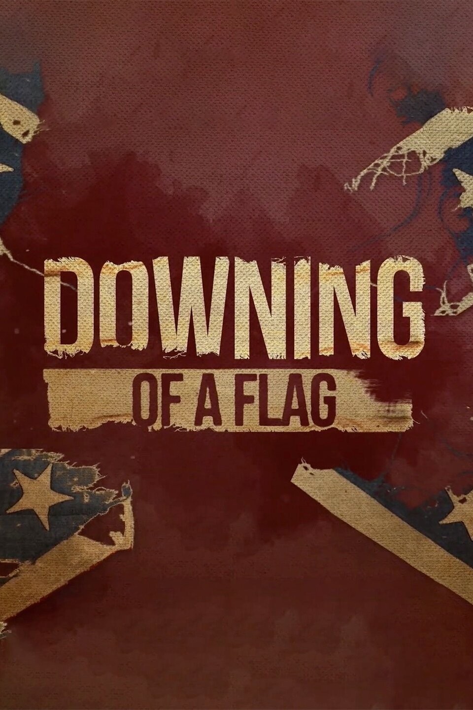 Downing of a Flag | Rotten Tomatoes