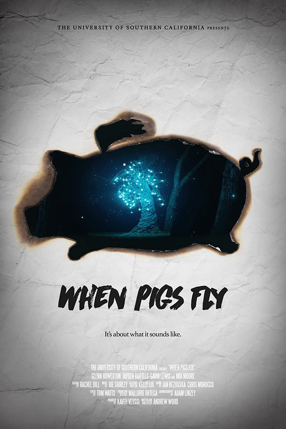 When Pigs Fly | Rotten Tomatoes