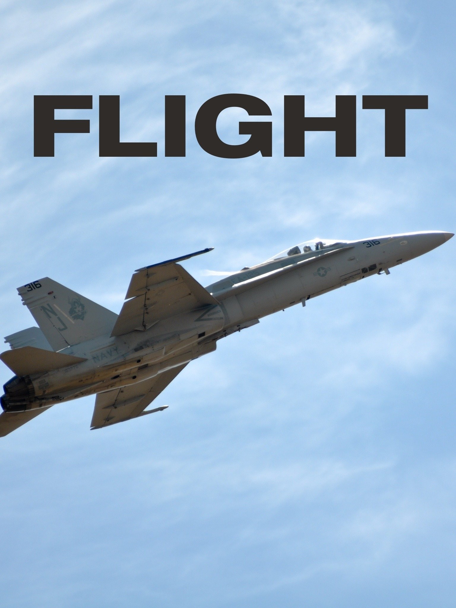 Flight | Rotten Tomatoes