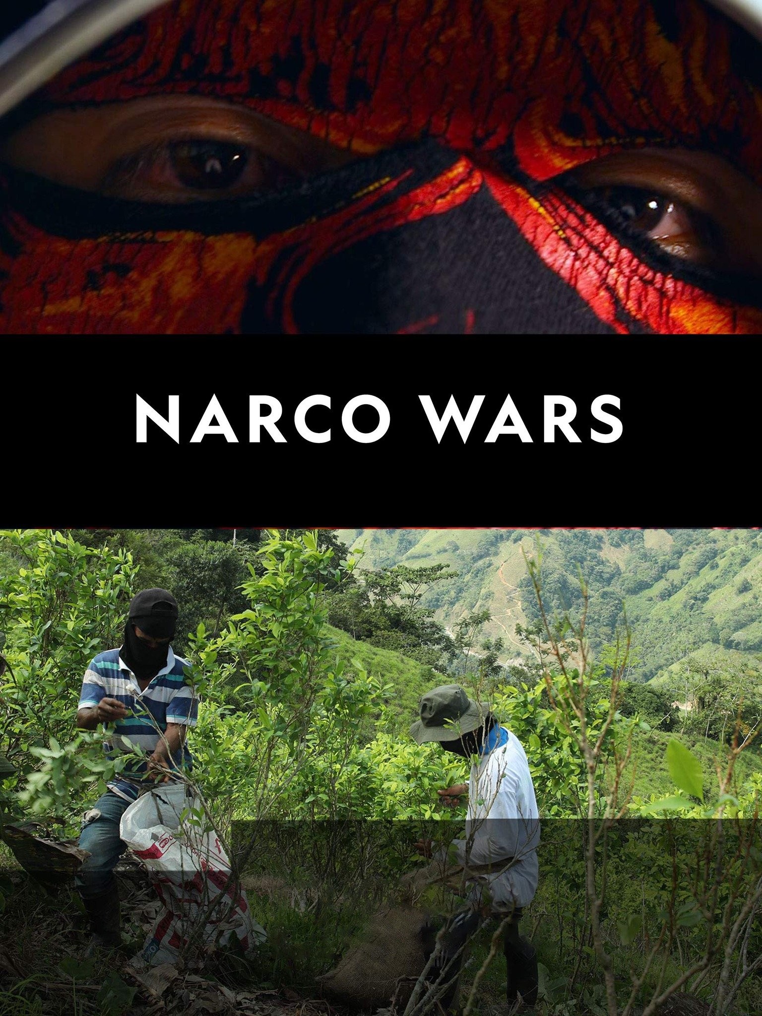 Narco Wars Season 2 | Rotten Tomatoes