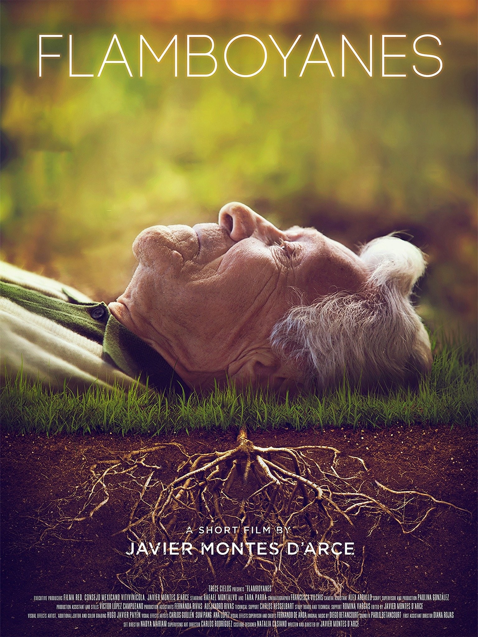 Flamboyanes Pictures | Rotten Tomatoes