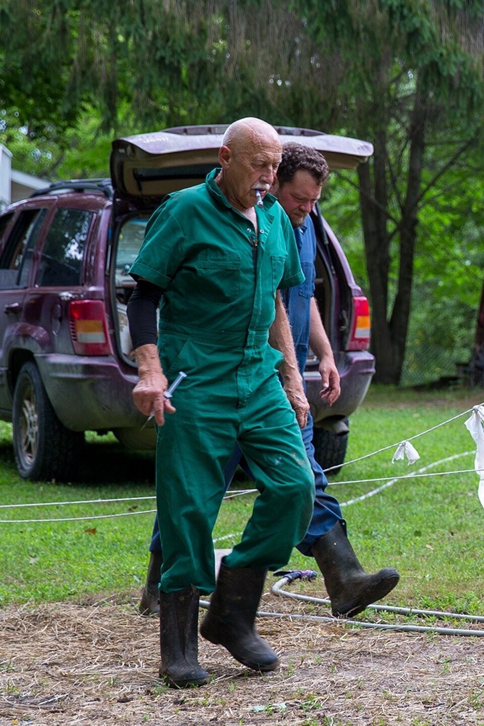 Dramatic Paws Pictures | Rotten Tomatoes