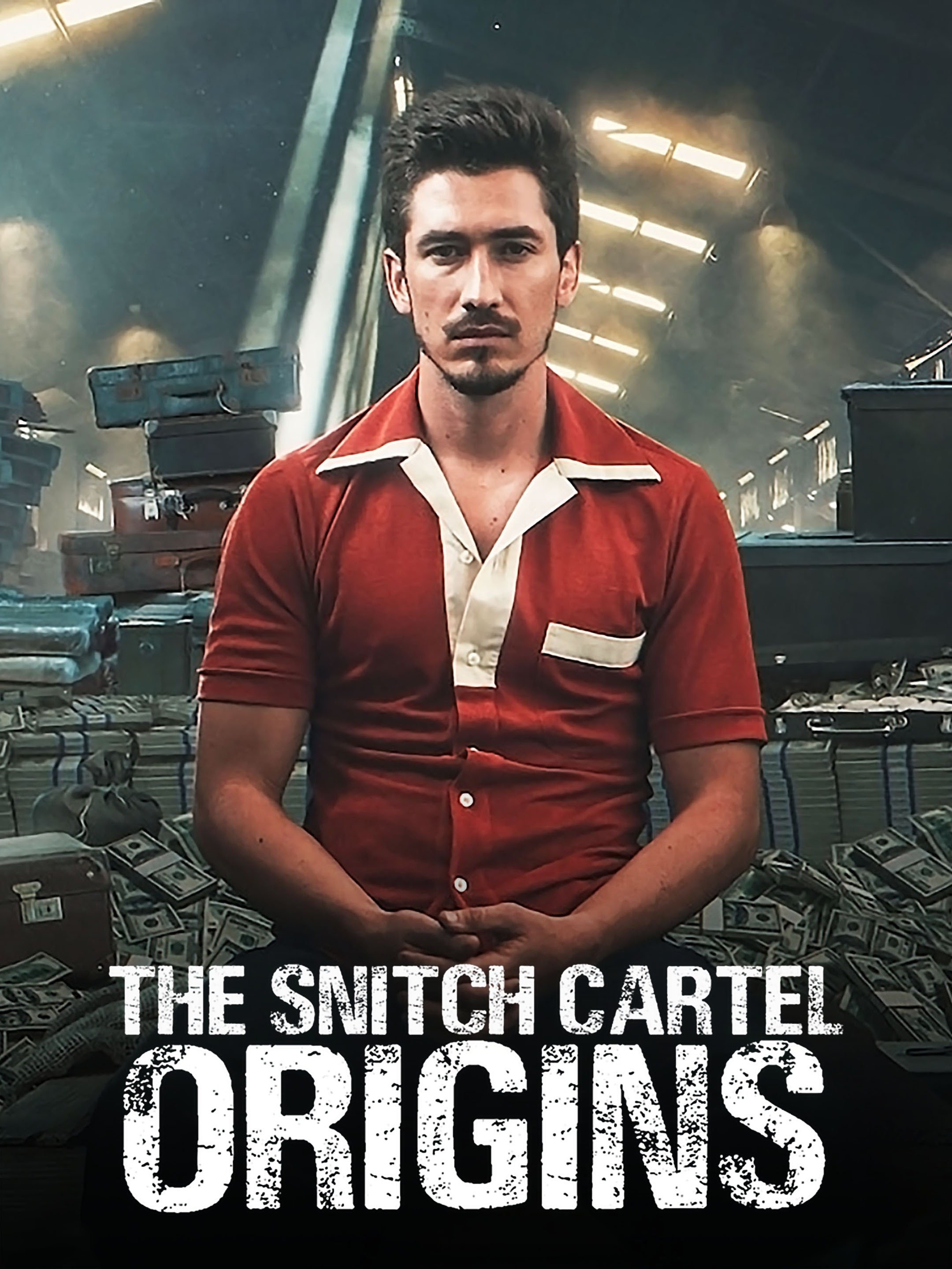 Snitch Poster