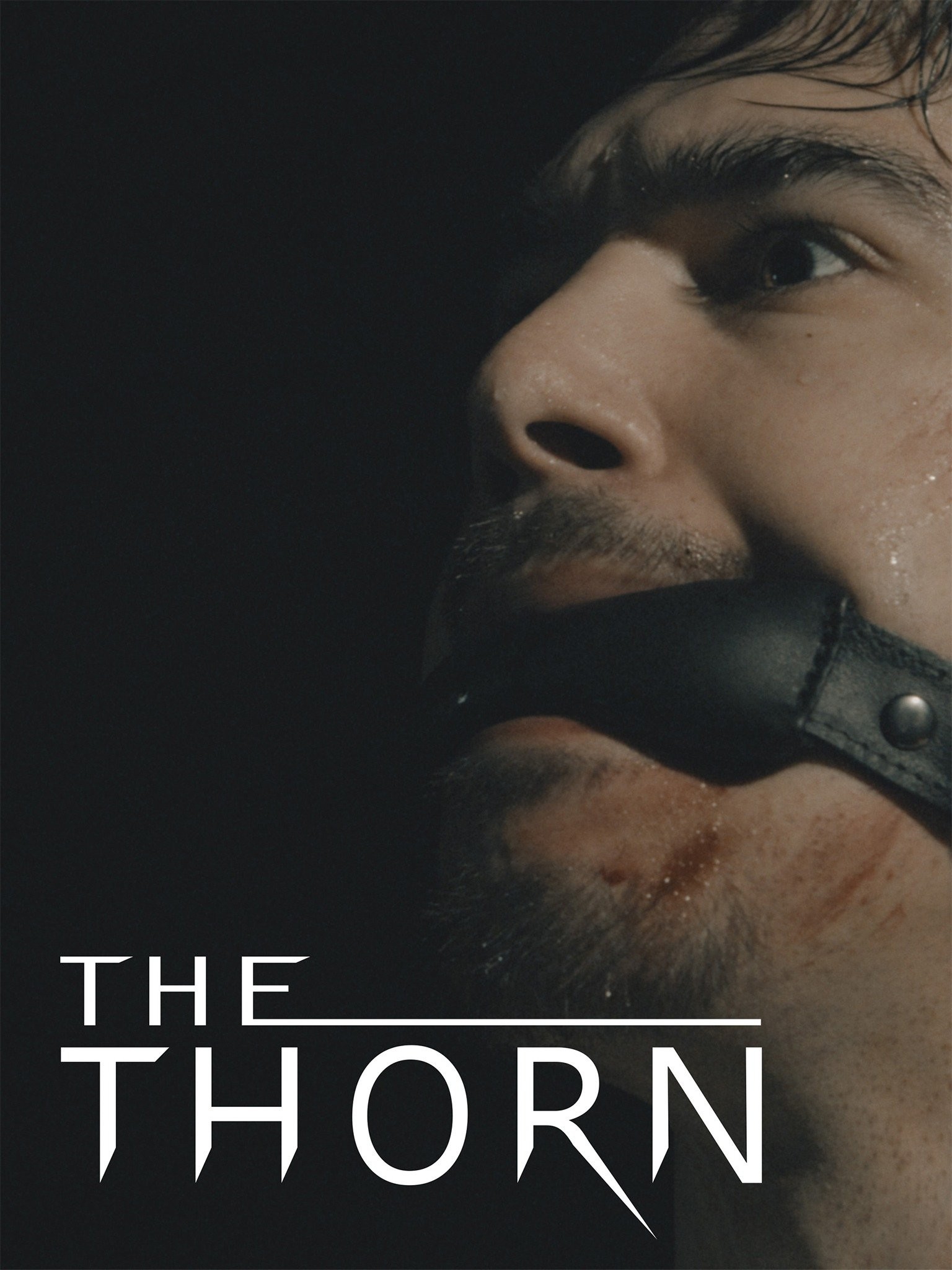 The Thorn | Rotten Tomatoes