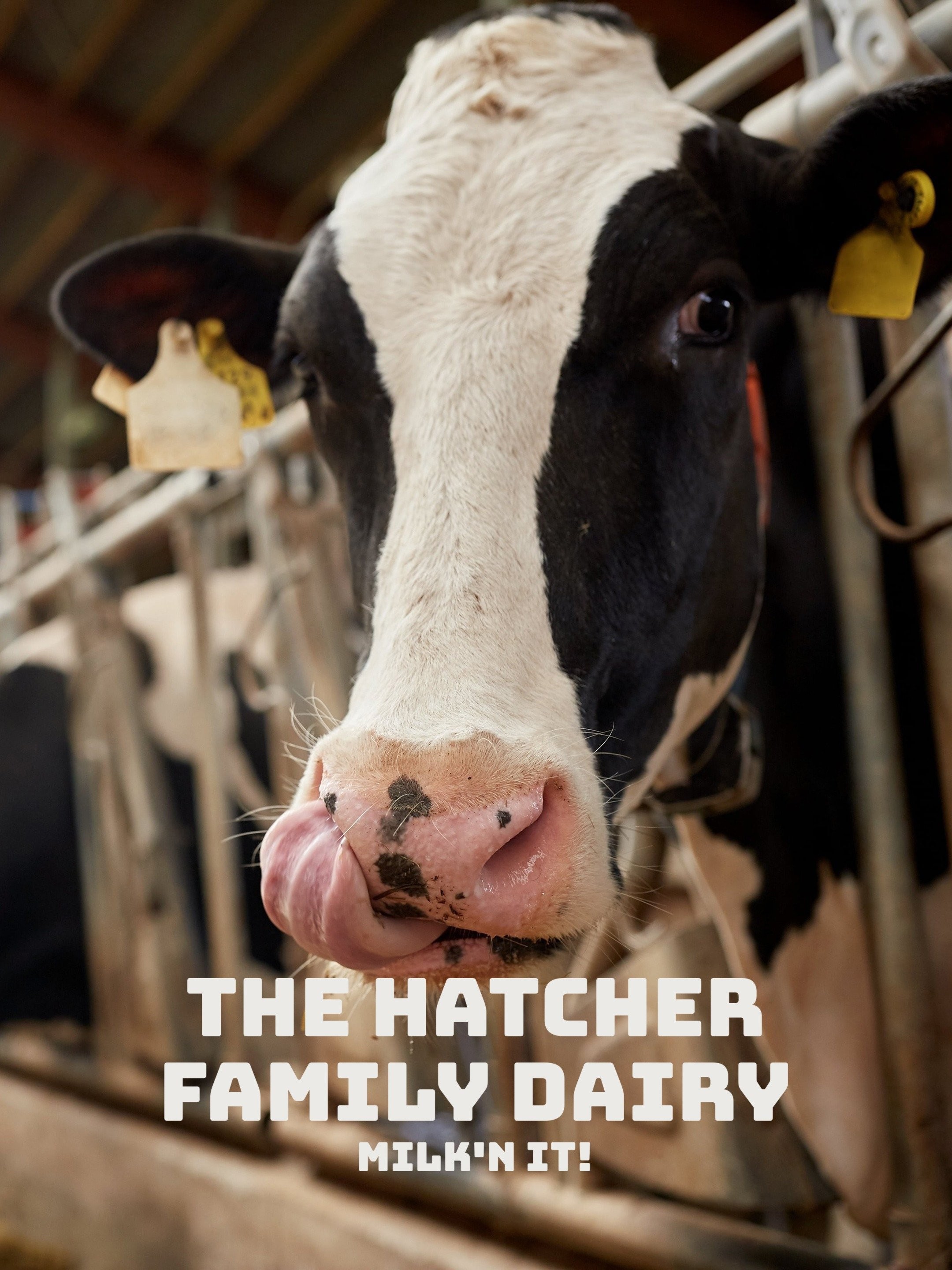 The Hatcher Family Dairy: Milk'n It! Pictures | Rotten Tomatoes
