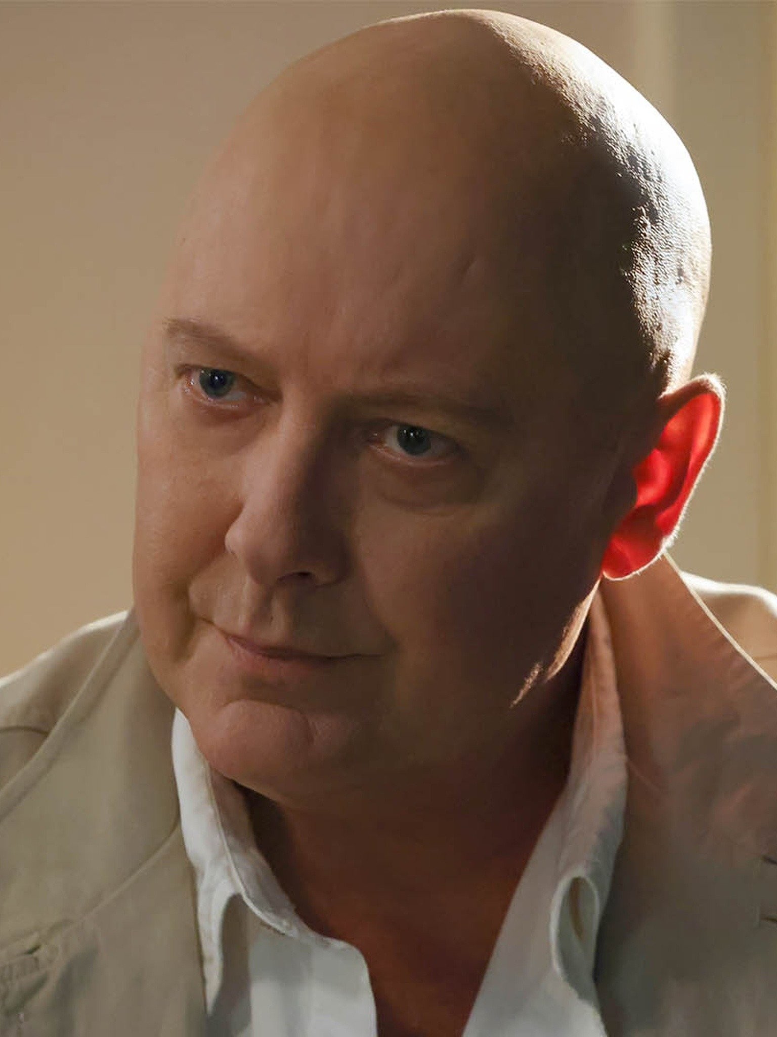 The Skinner Pictures | Rotten Tomatoes