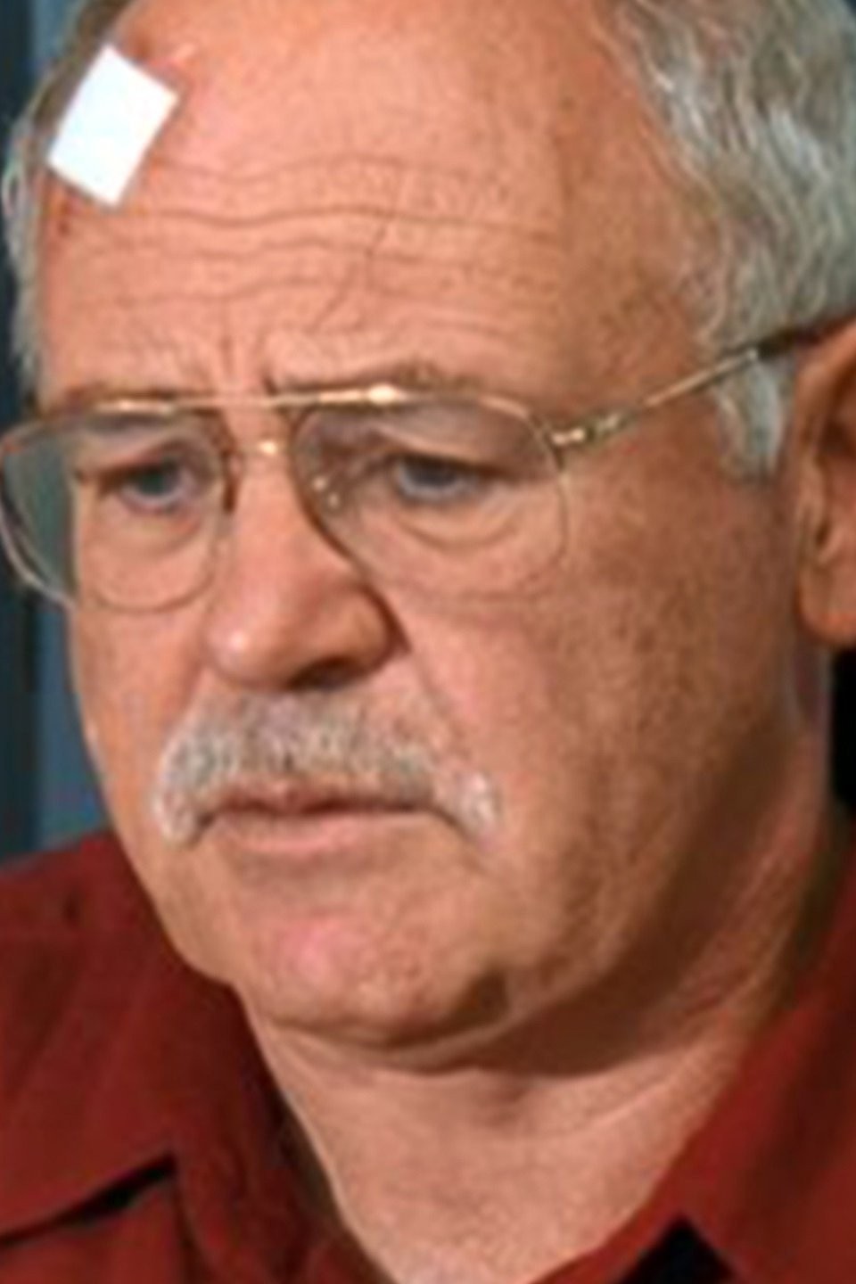 Dangerous Encounters Pictures | Rotten Tomatoes