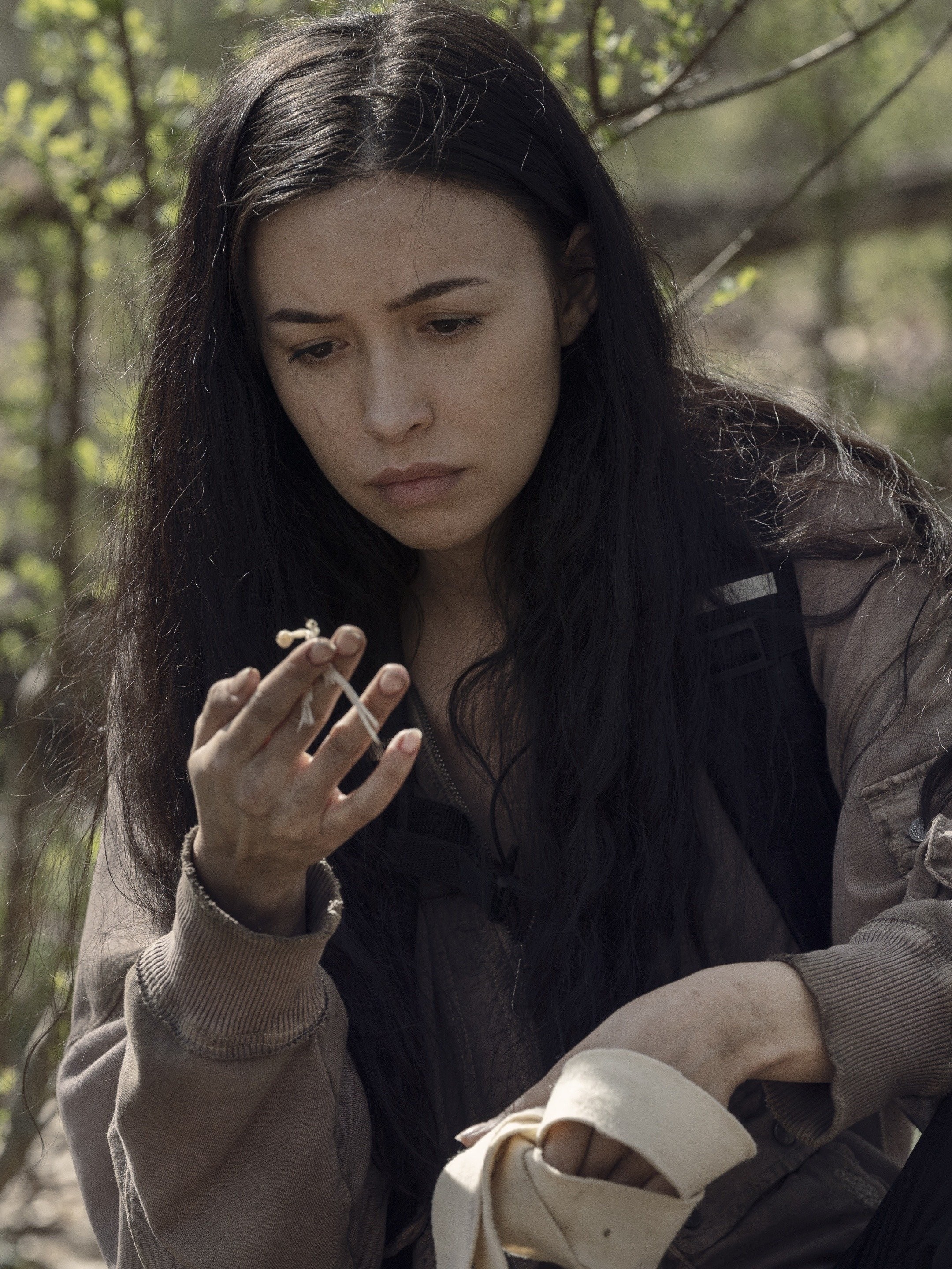 Hunted Pictures | Rotten Tomatoes