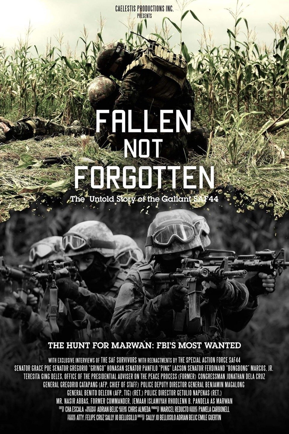 Fallen Not Forgotten Pictures | Rotten Tomatoes
