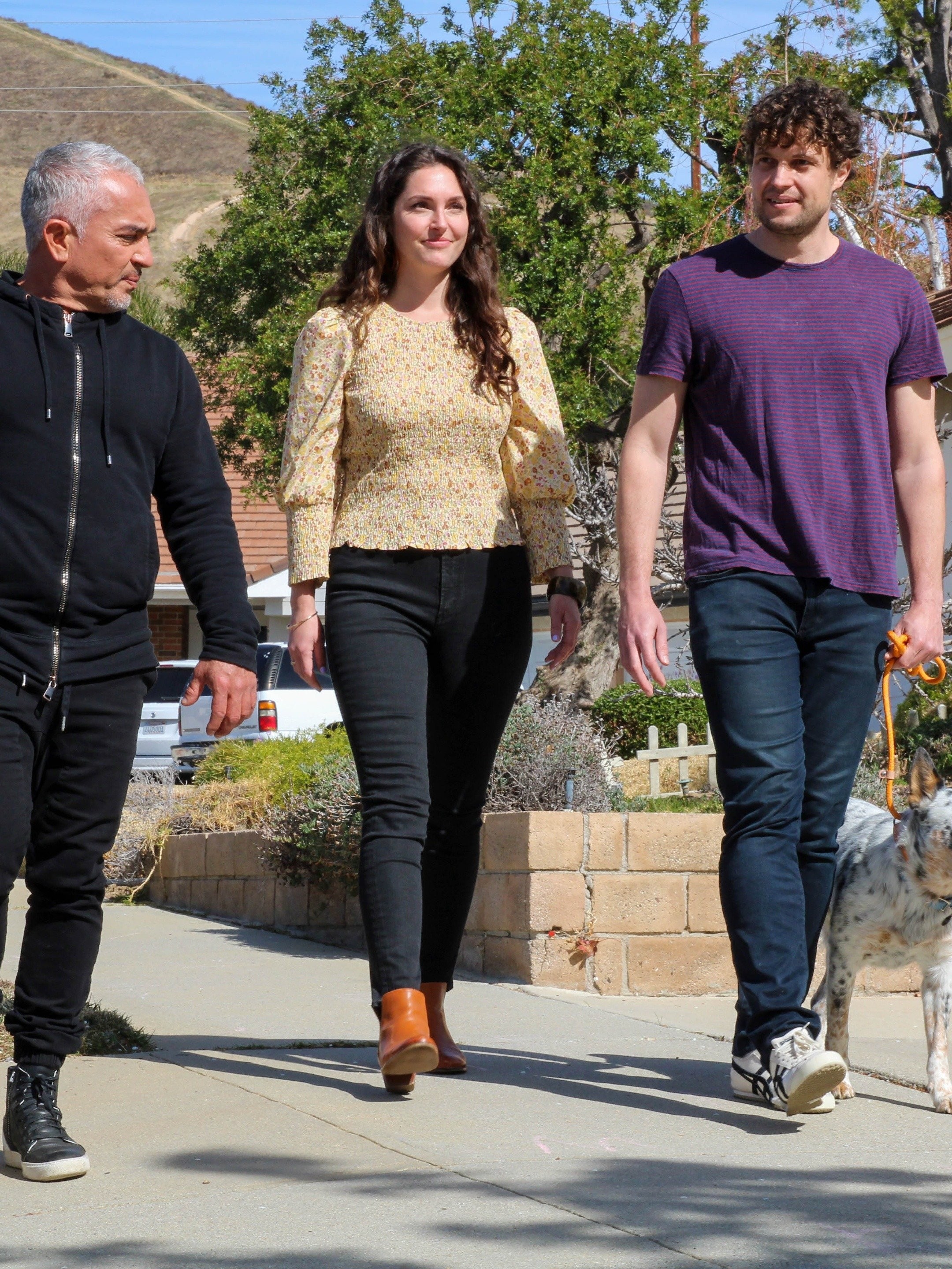 Hijacked Pack Pictures | Rotten Tomatoes