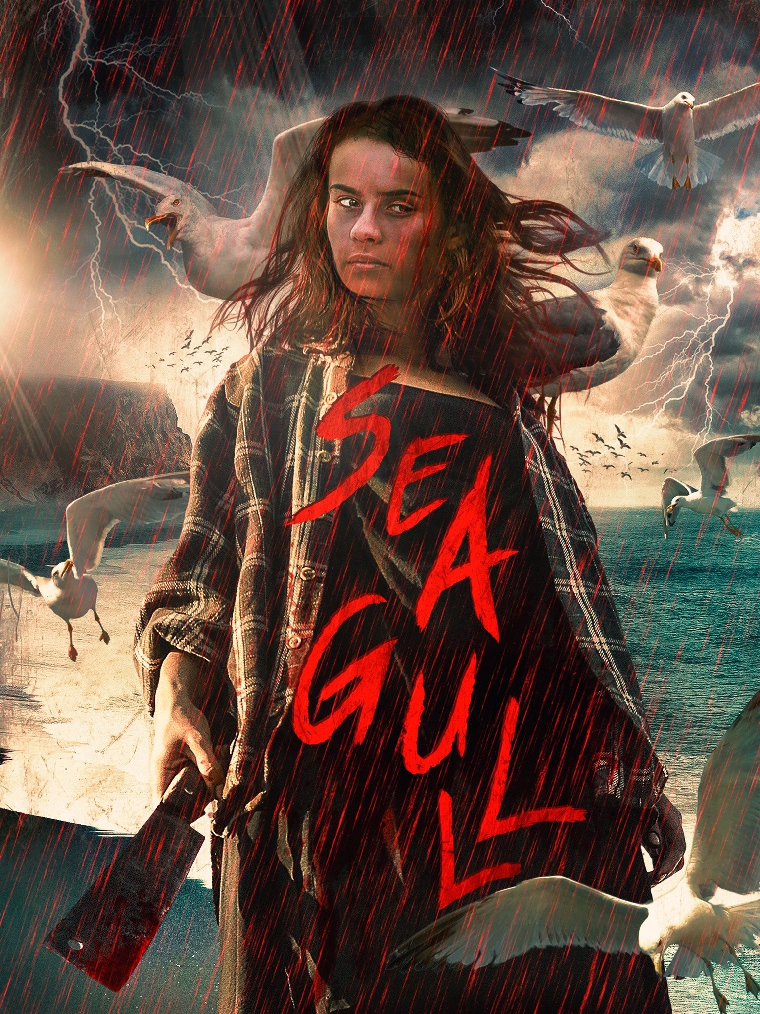 Seagull Pictures | Rotten Tomatoes