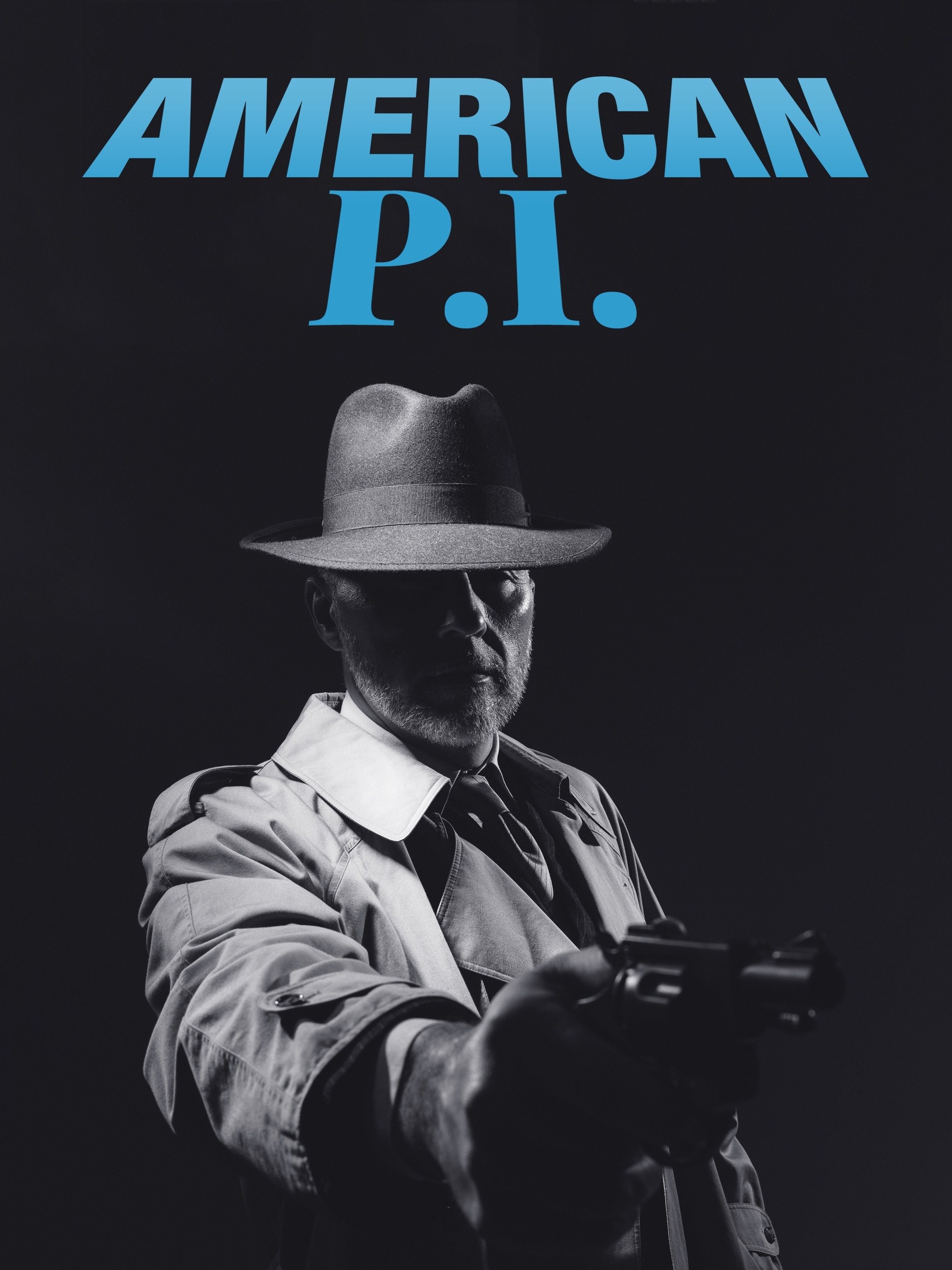 American P.I. | Rotten Tomatoes