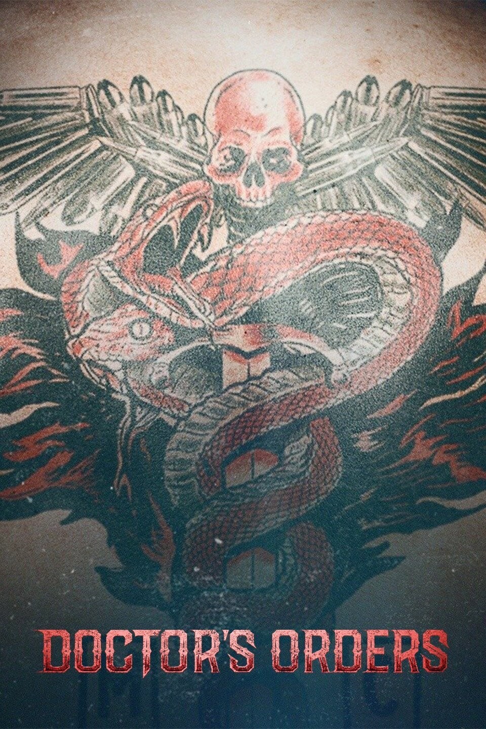 Doctor's Orders Season 1 | Rotten Tomatoes