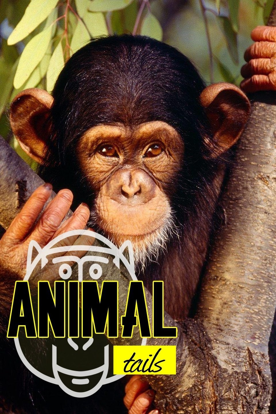 Animal Tails | Rotten Tomatoes